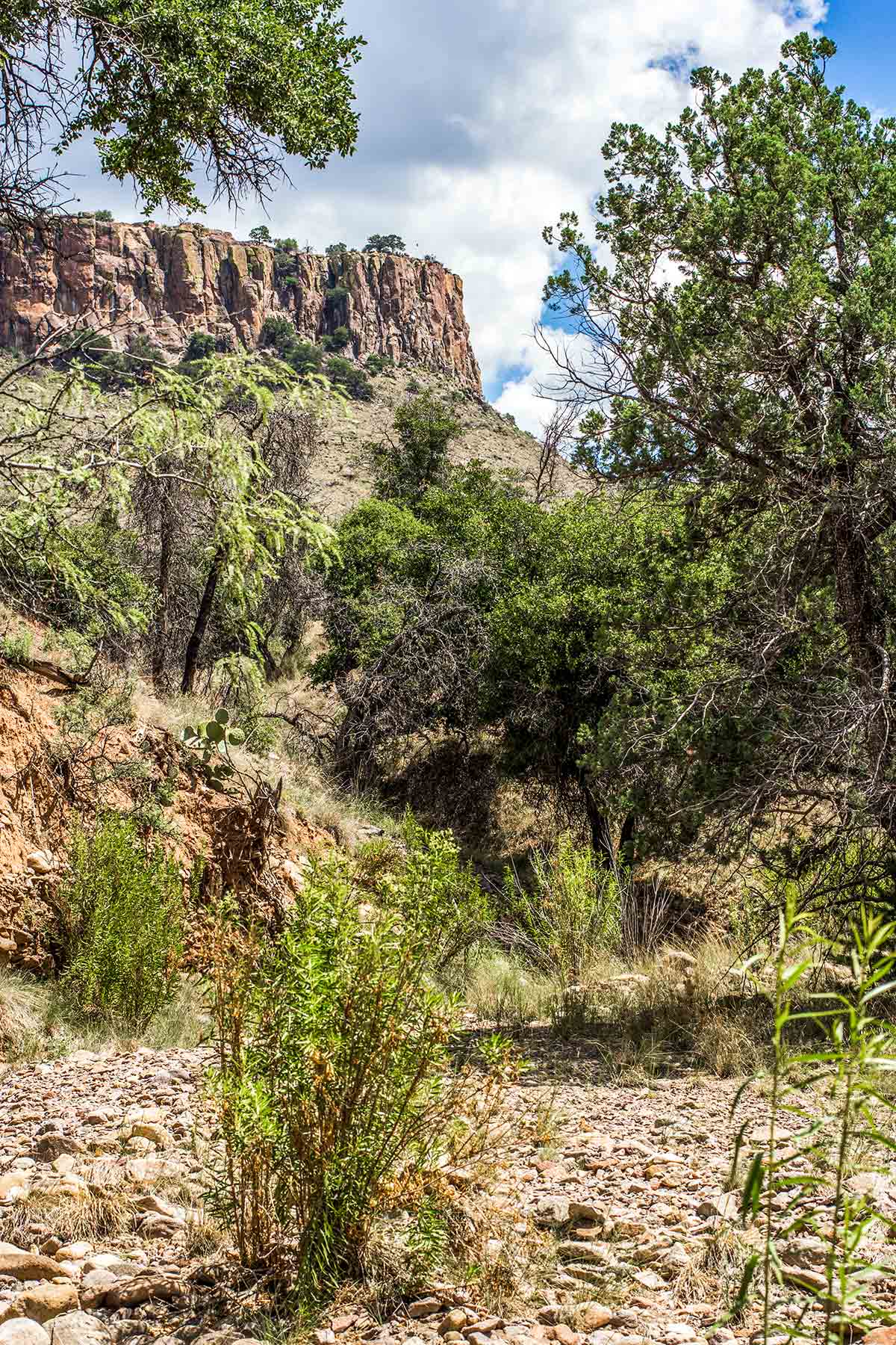 Livermore Ranch ~ Last of the Great Places - Sold - Texas - Hall and Hall