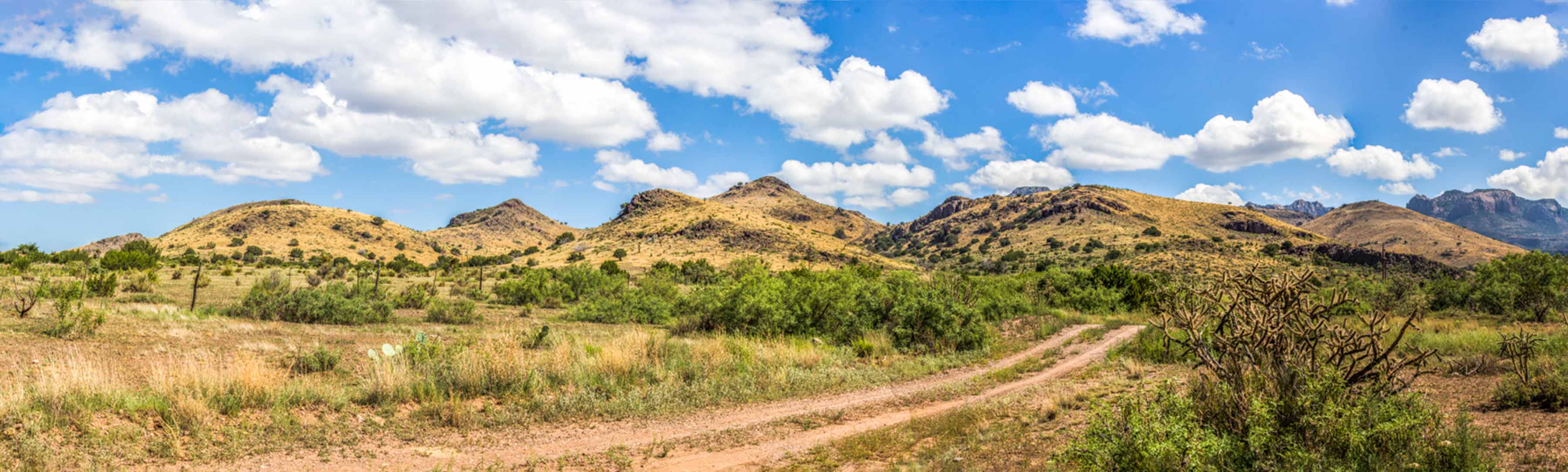 Livermore Ranch ~ Last of the Great Places - Sold - Texas - Hall and Hall