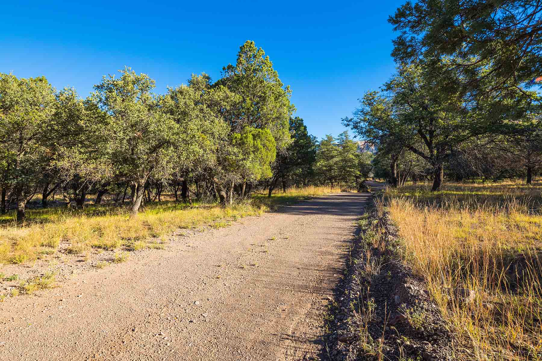 Livermore Ranch ~ Last of the Great Places - Sold - Texas - Hall and Hall