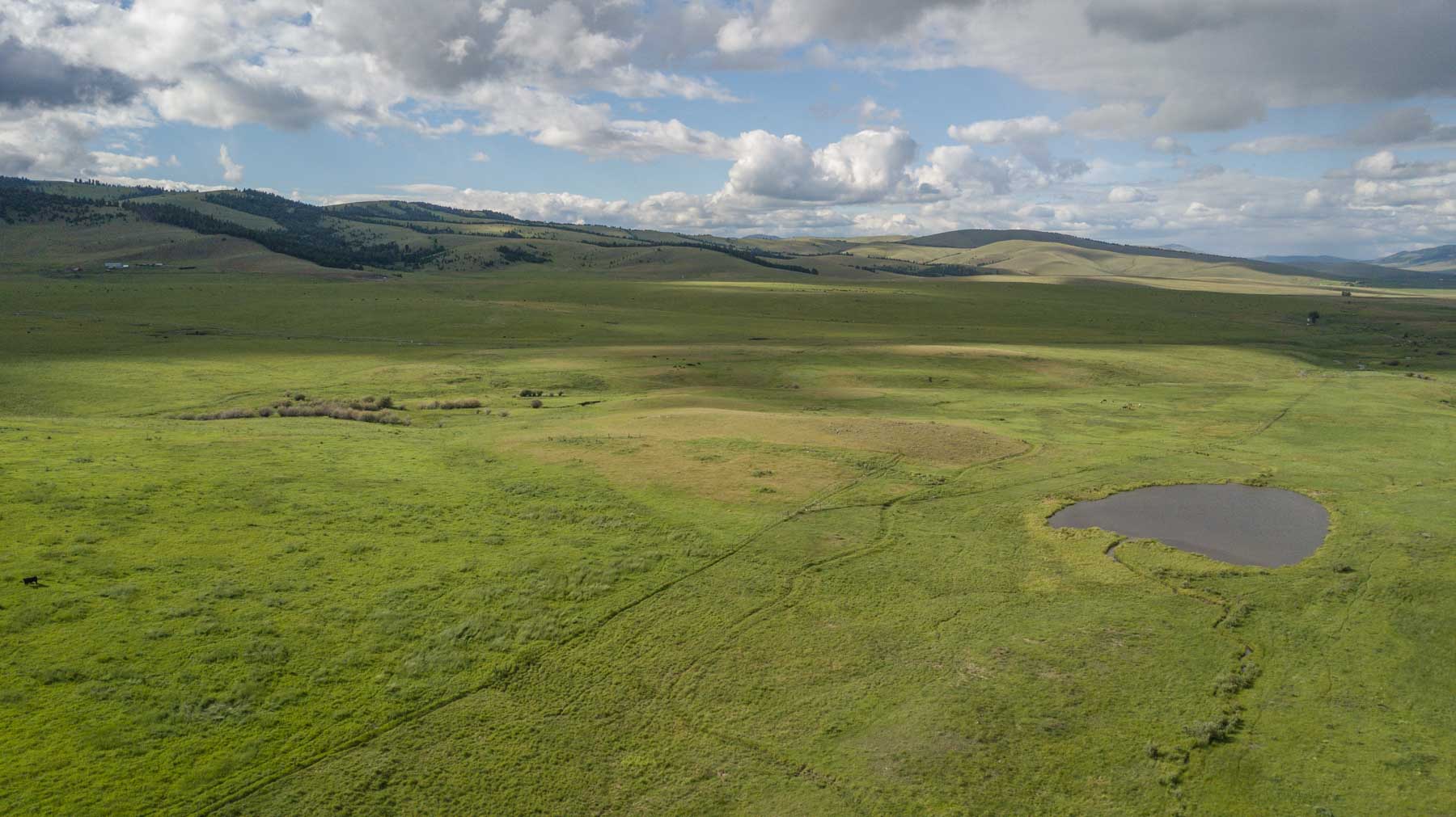 Warren Peak Ranch - Sold - Montana - Hall and Hall