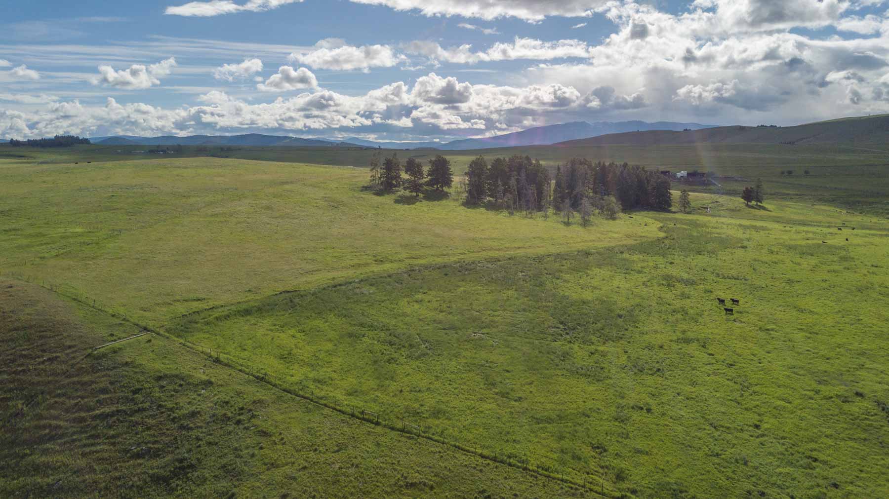 Warren Peak Ranch - Sold - Montana - Hall and Hall