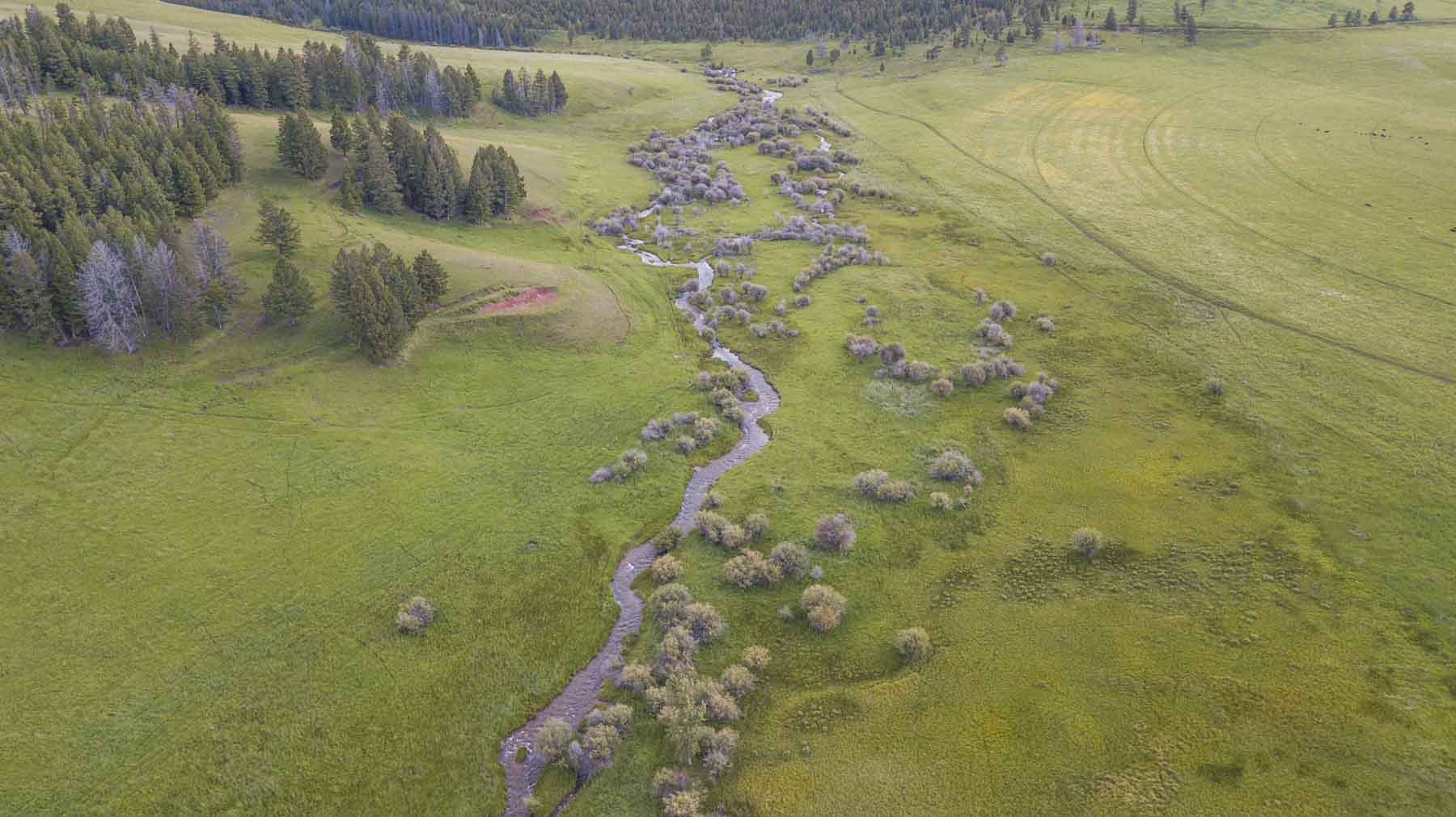 Warren Peak Ranch - Sold - Montana - Hall and Hall