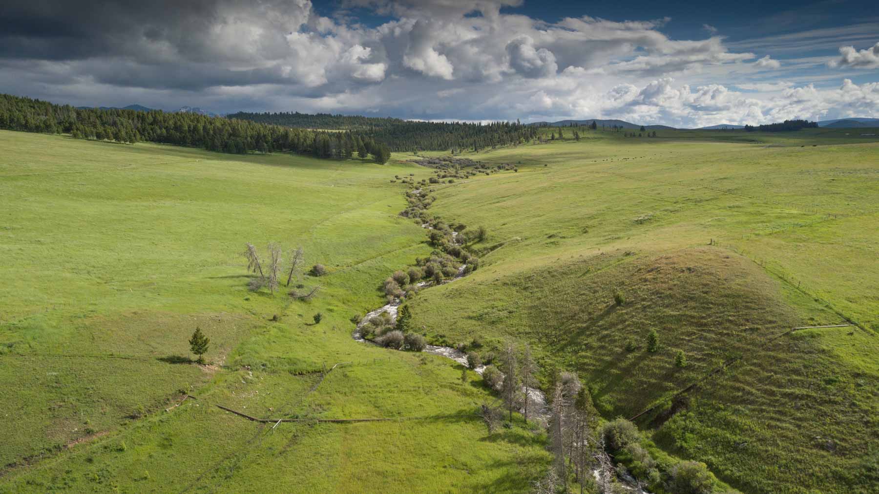 Warren Peak Ranch - Sold - Montana - Hall and Hall