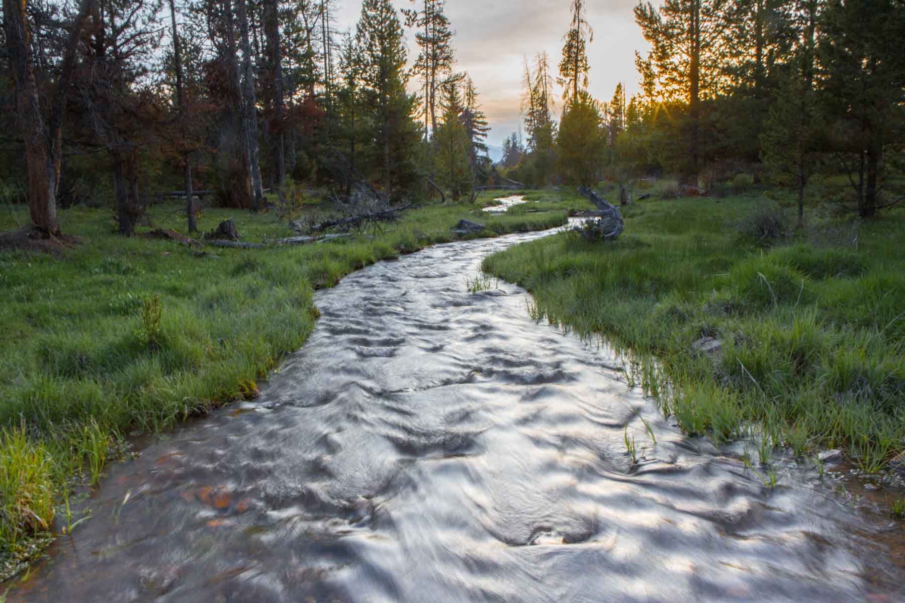 Warren Peak Ranch - Sold - Montana - Hall and Hall