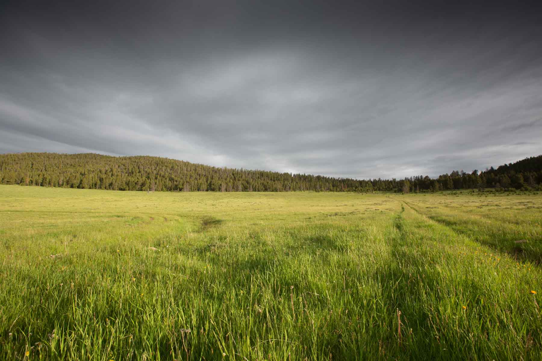 Warren Peak Ranch - Sold - Montana - Hall and Hall