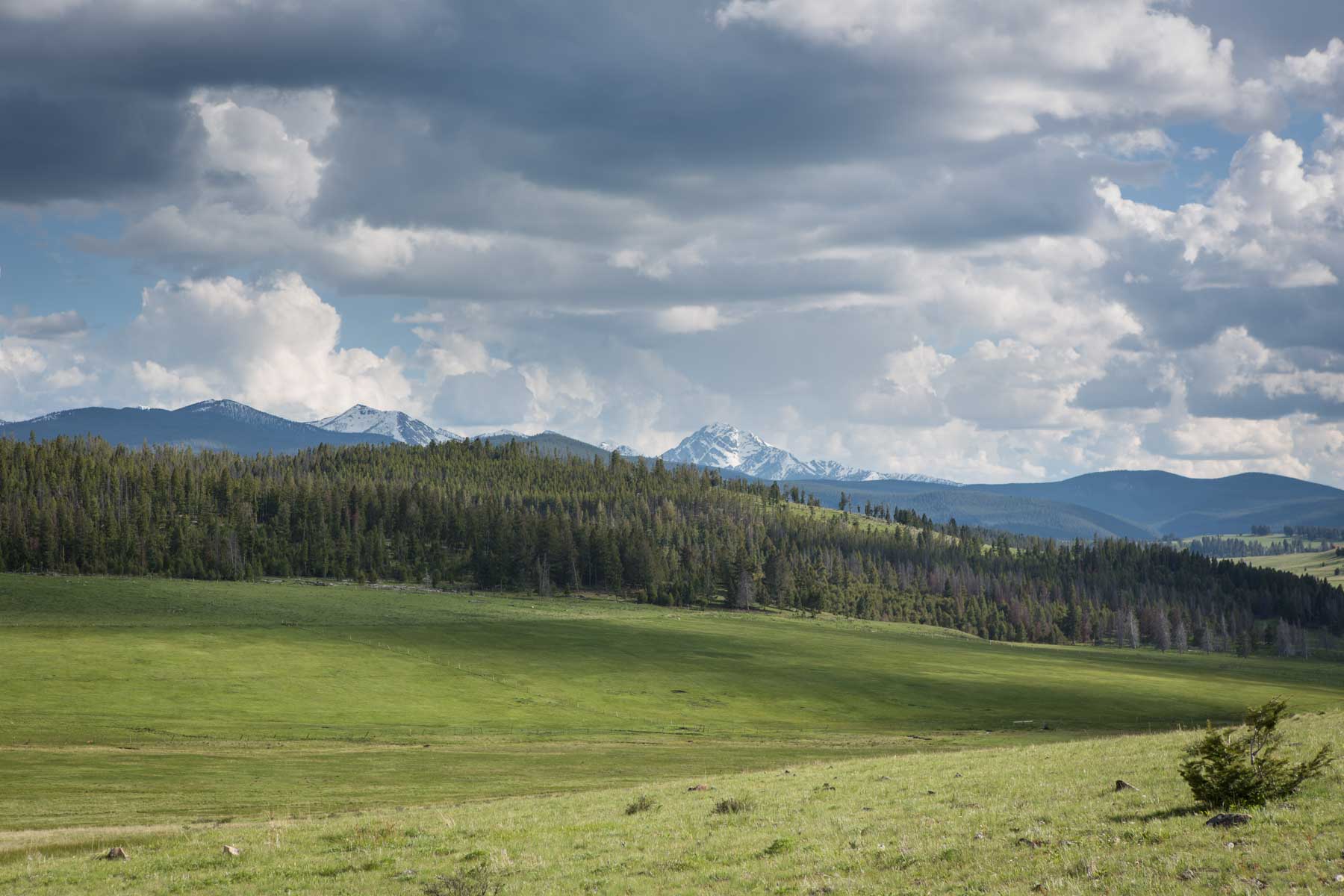 Warren Peak Ranch - Sold - Montana - Hall and Hall