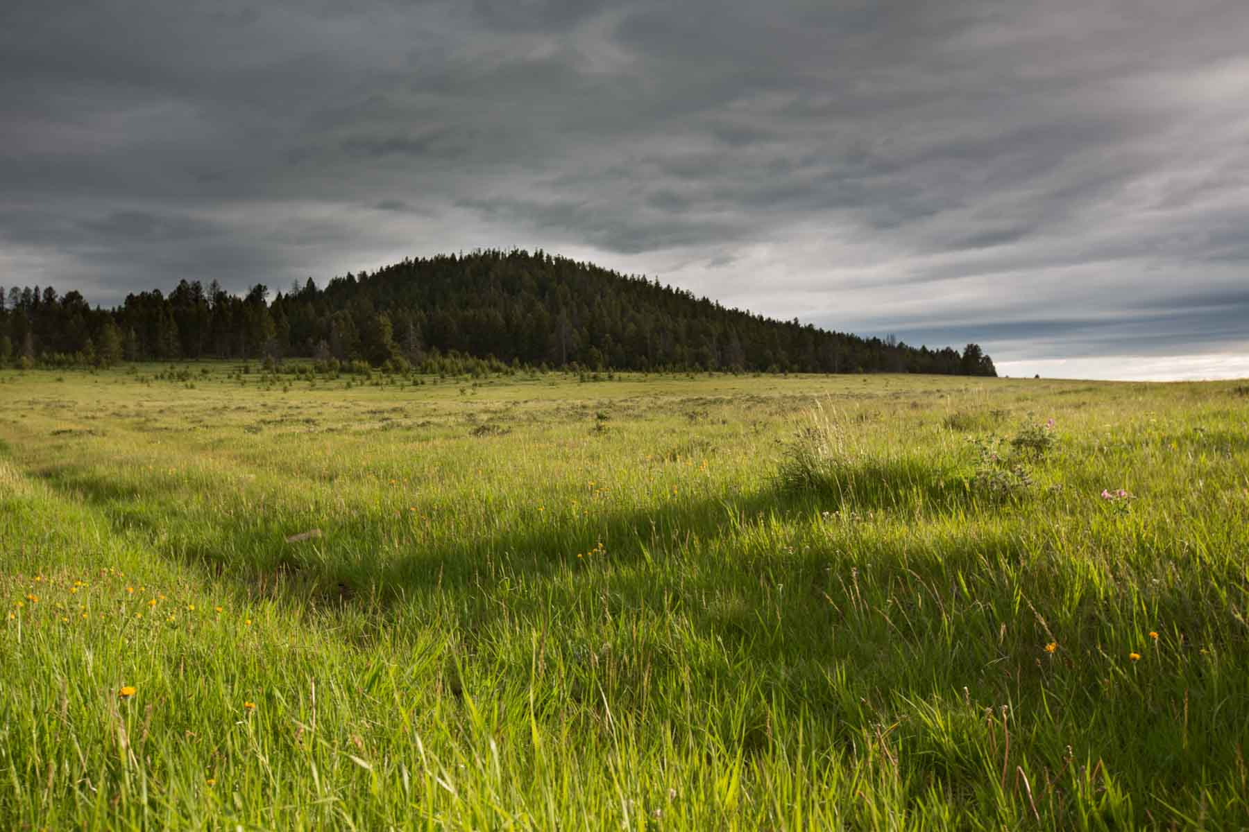 Warren Peak Ranch - Sold - Montana - Hall and Hall