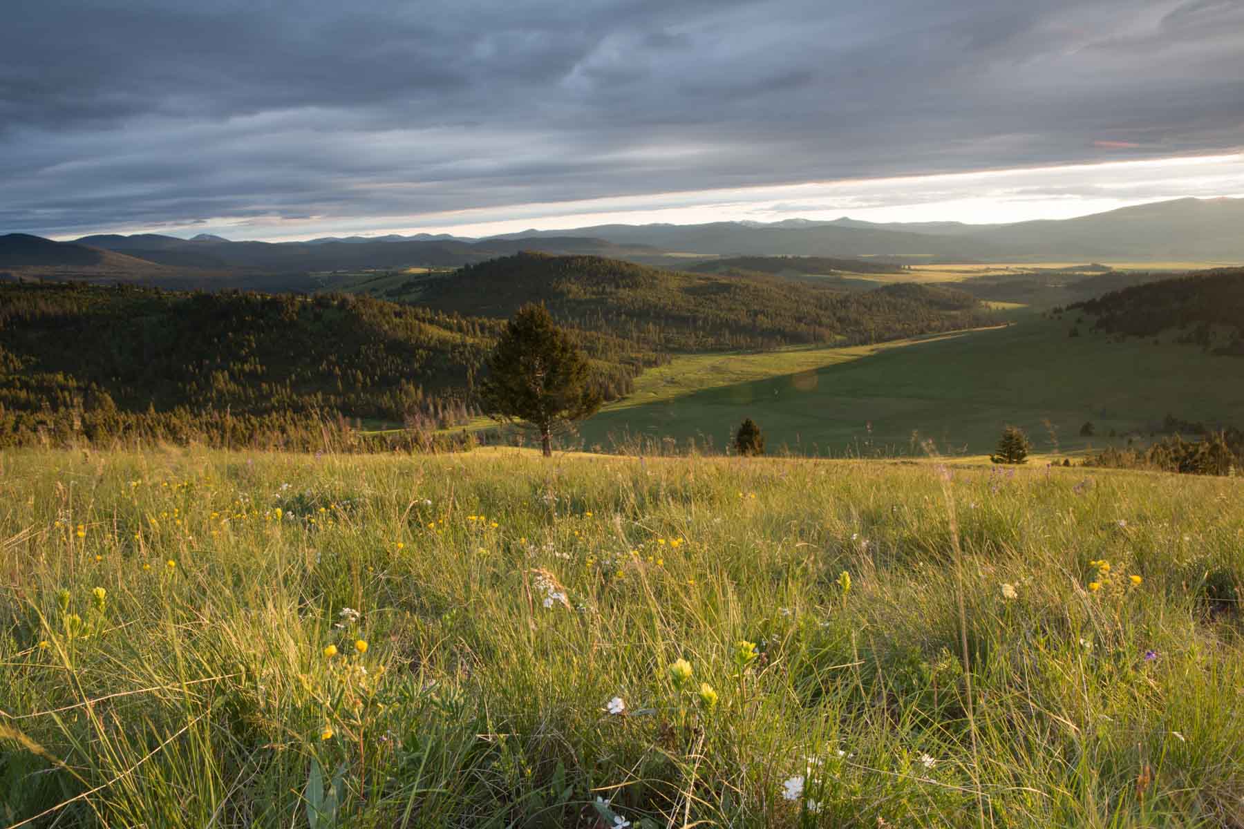 Warren Peak Ranch - Sold - Montana - Hall and Hall