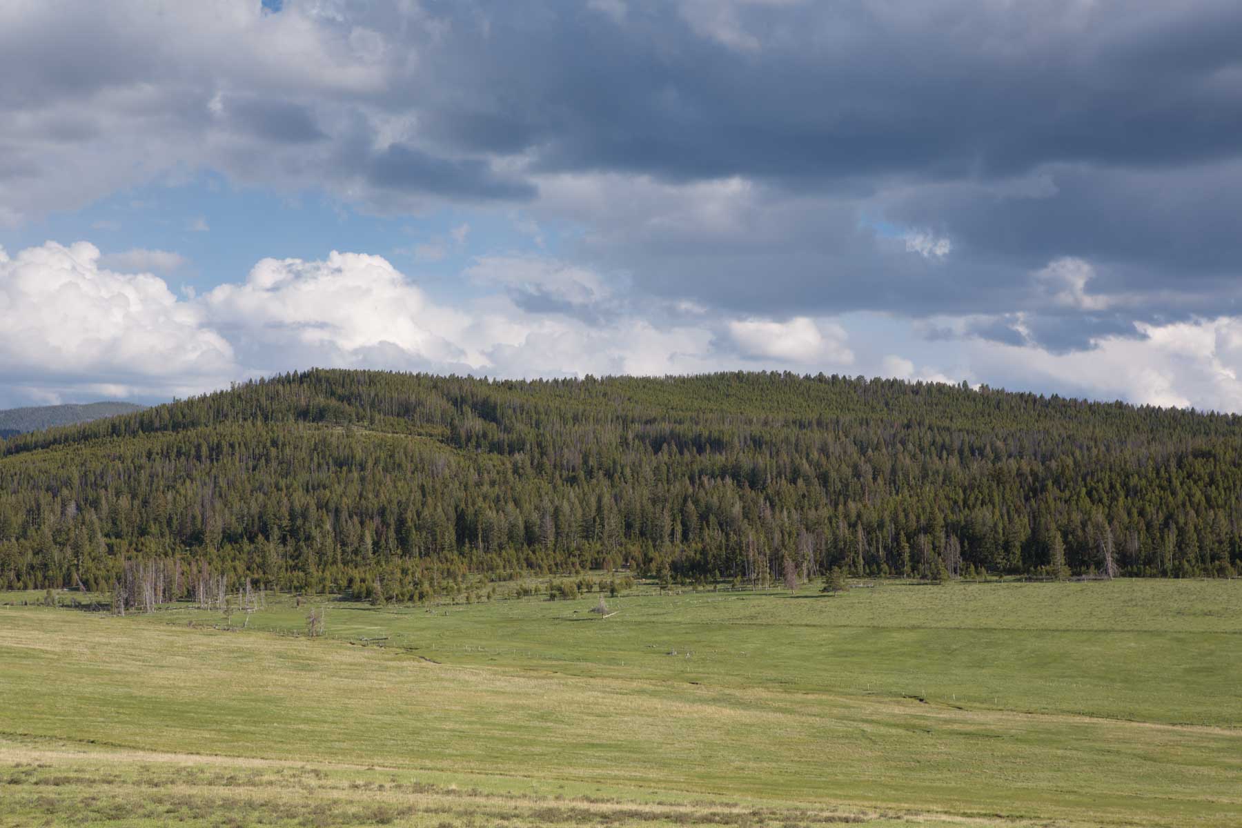 Warren Peak Ranch - Sold - Montana - Hall and Hall