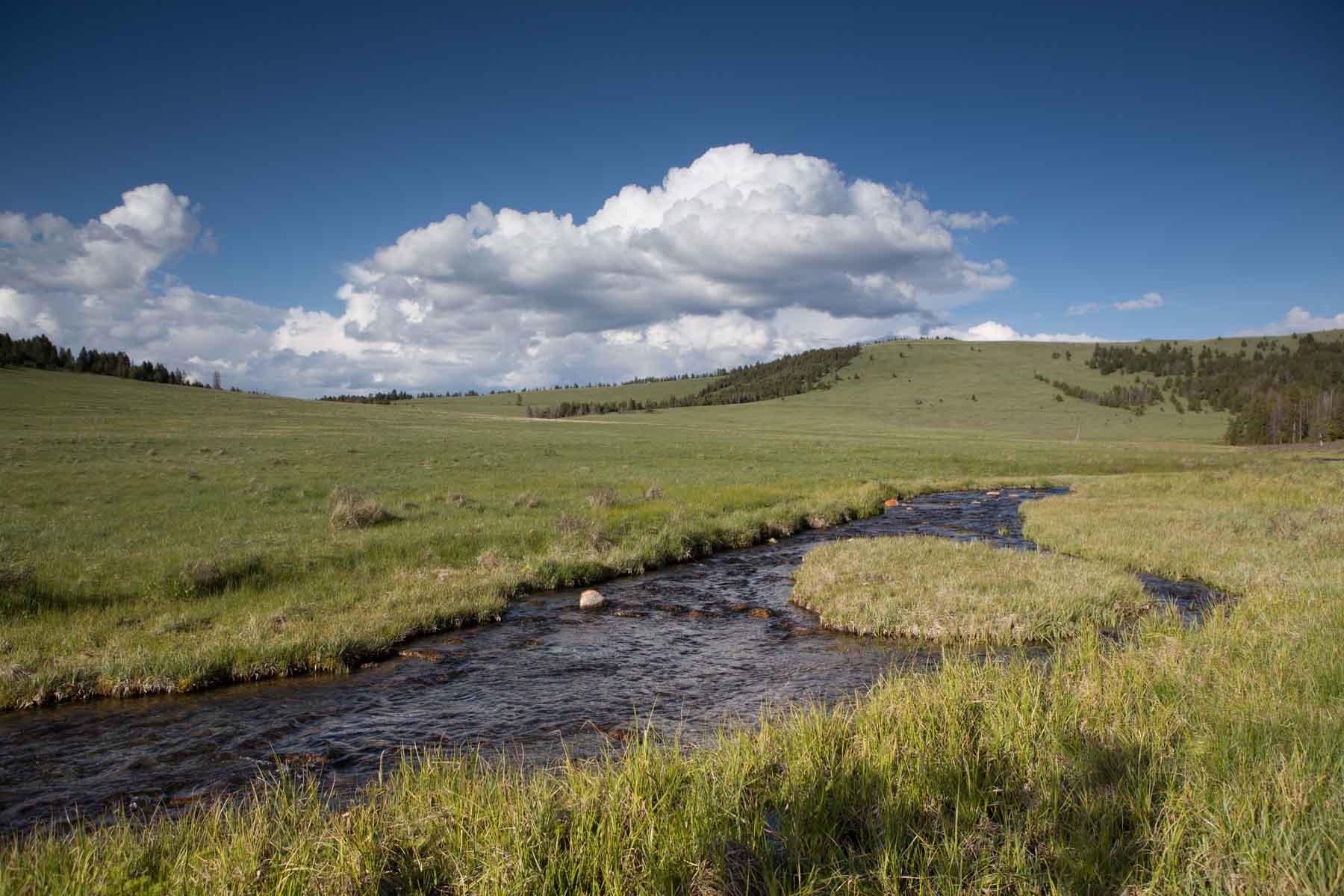 Warren Peak Ranch - Sold - Montana - Hall and Hall