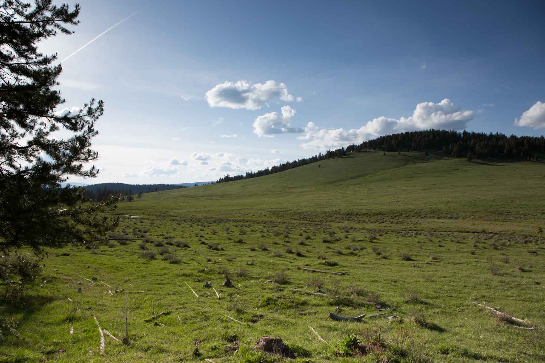 Warren Peak Ranch - Sold - Montana - Hall and Hall
