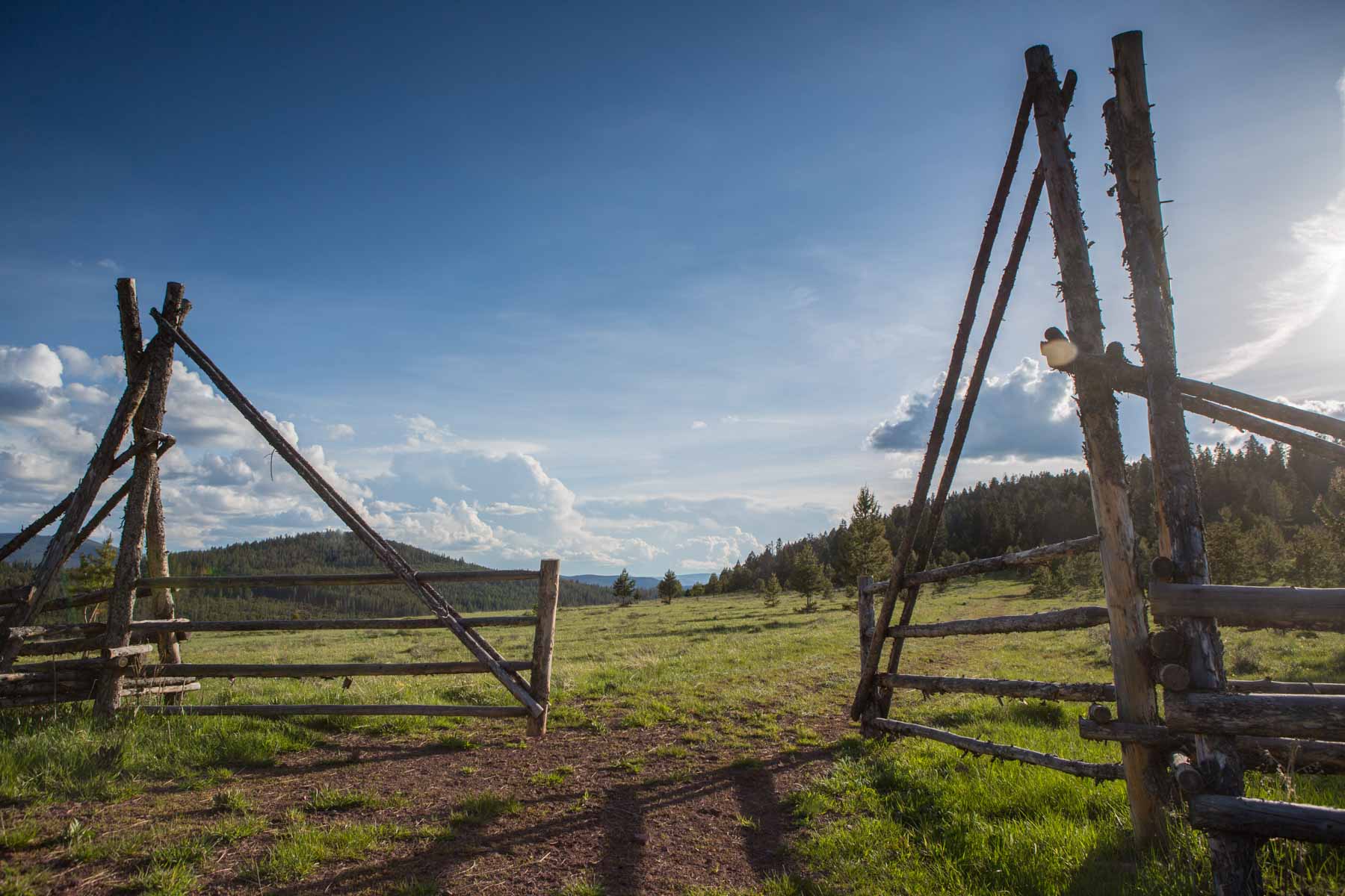 Warren Peak Ranch - Sold - Montana - Hall and Hall