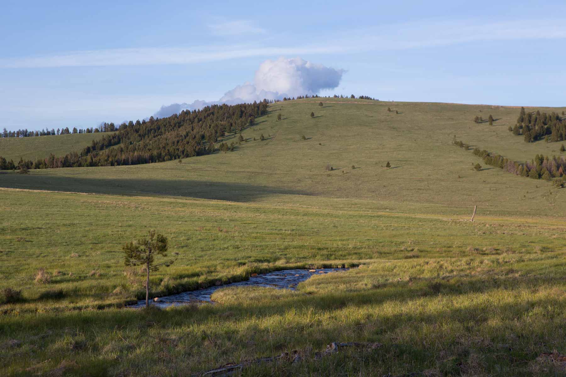 Warren Peak Ranch - Sold - Montana - Hall and Hall