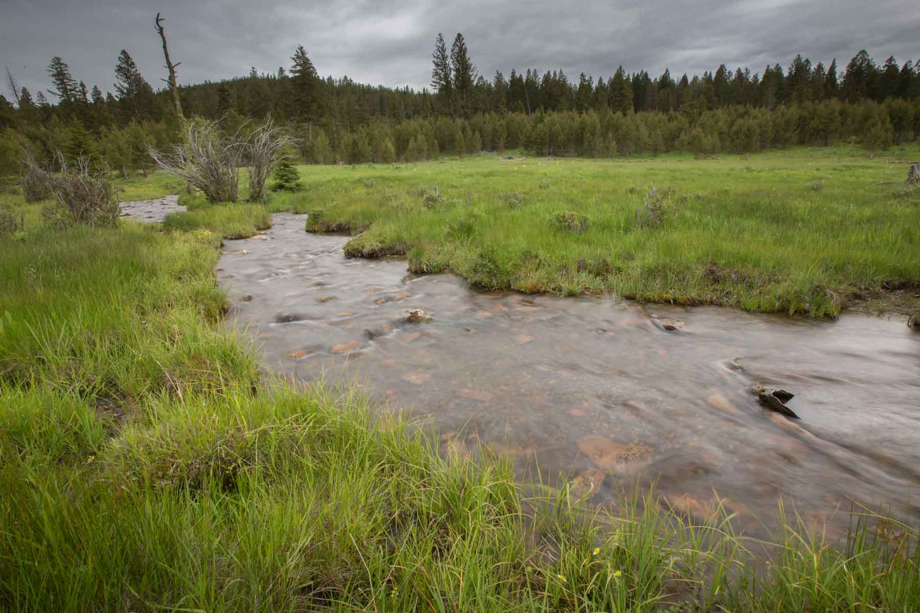 Warren Peak Ranch - Sold - Montana - Hall and Hall