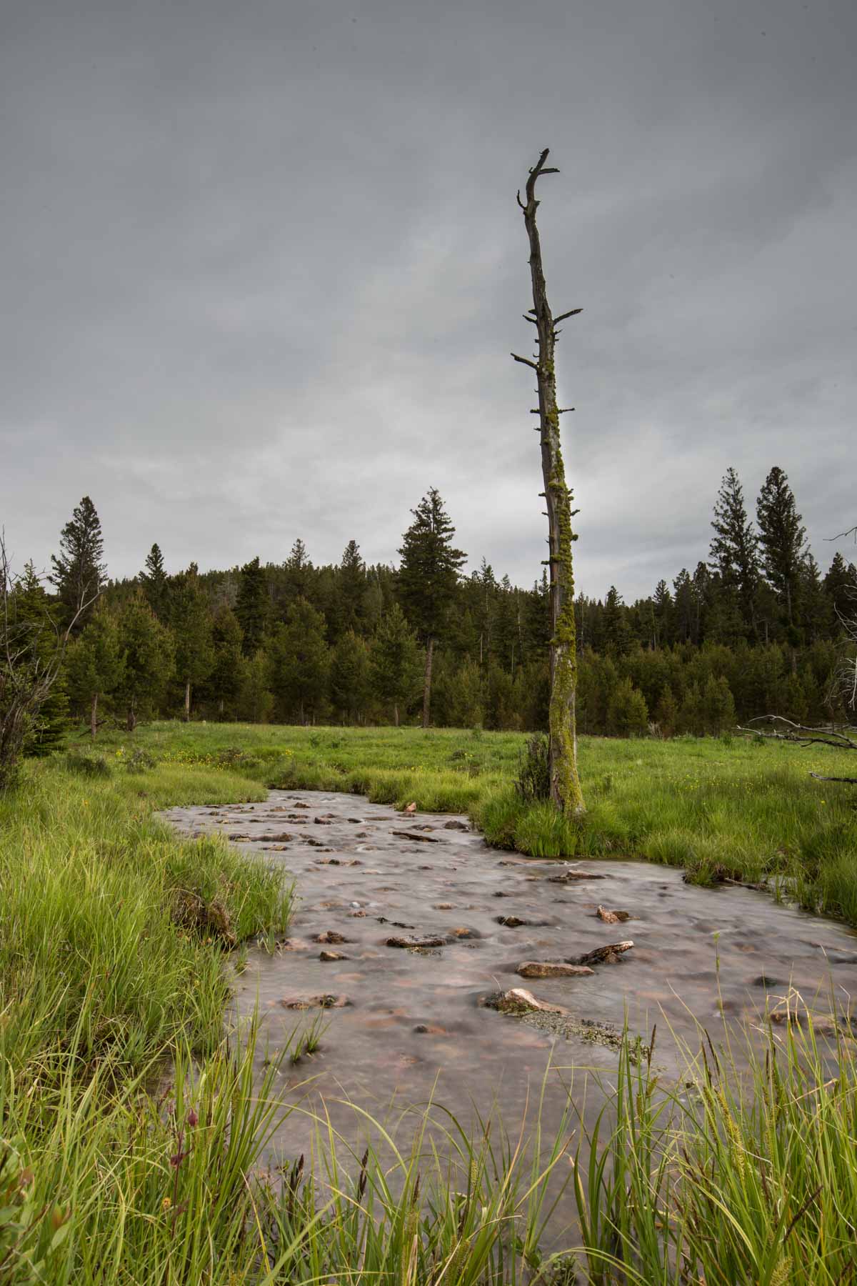 Warren Peak Ranch - Sold - Montana - Hall and Hall