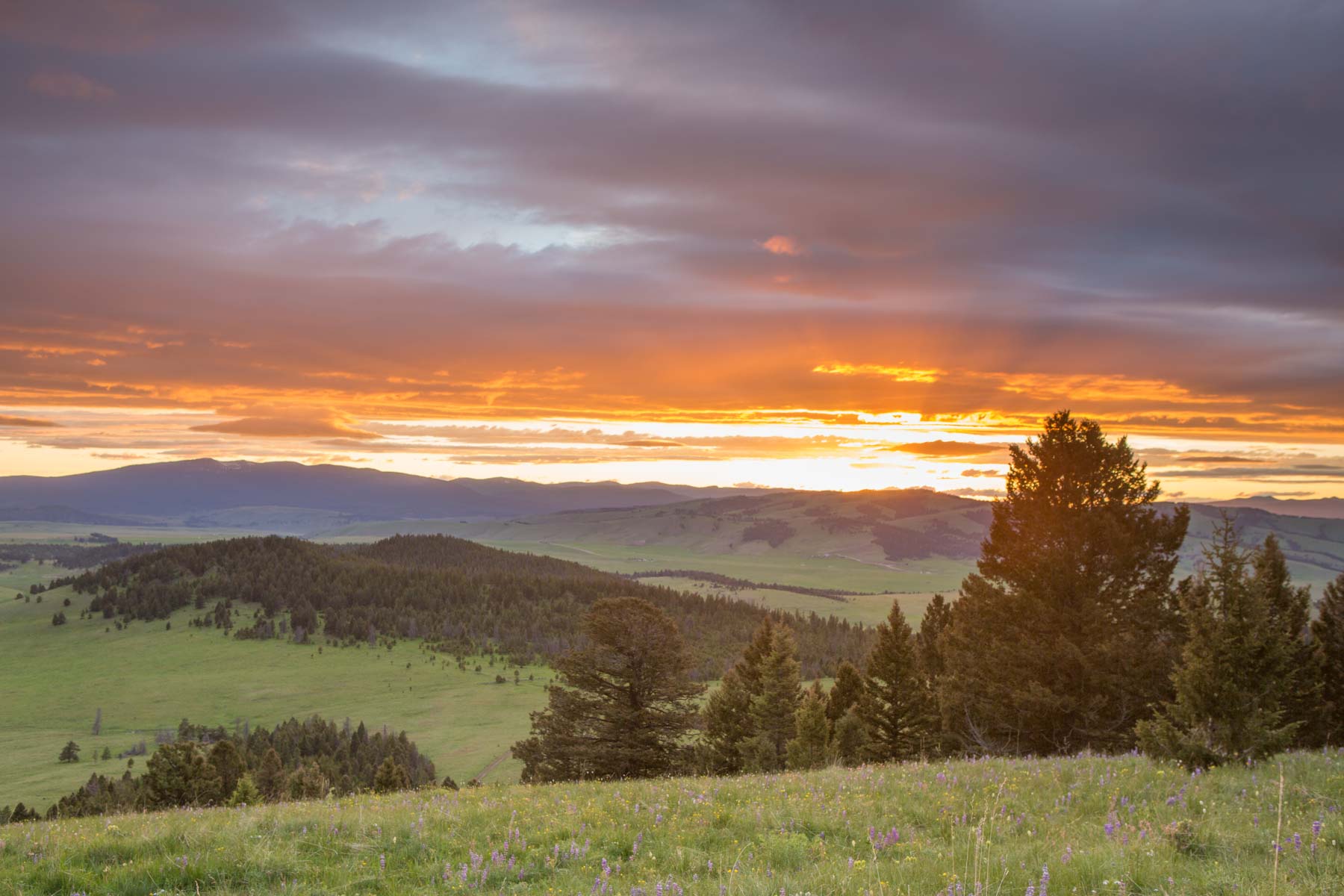 Warren Peak Ranch - Sold - Montana - Hall and Hall