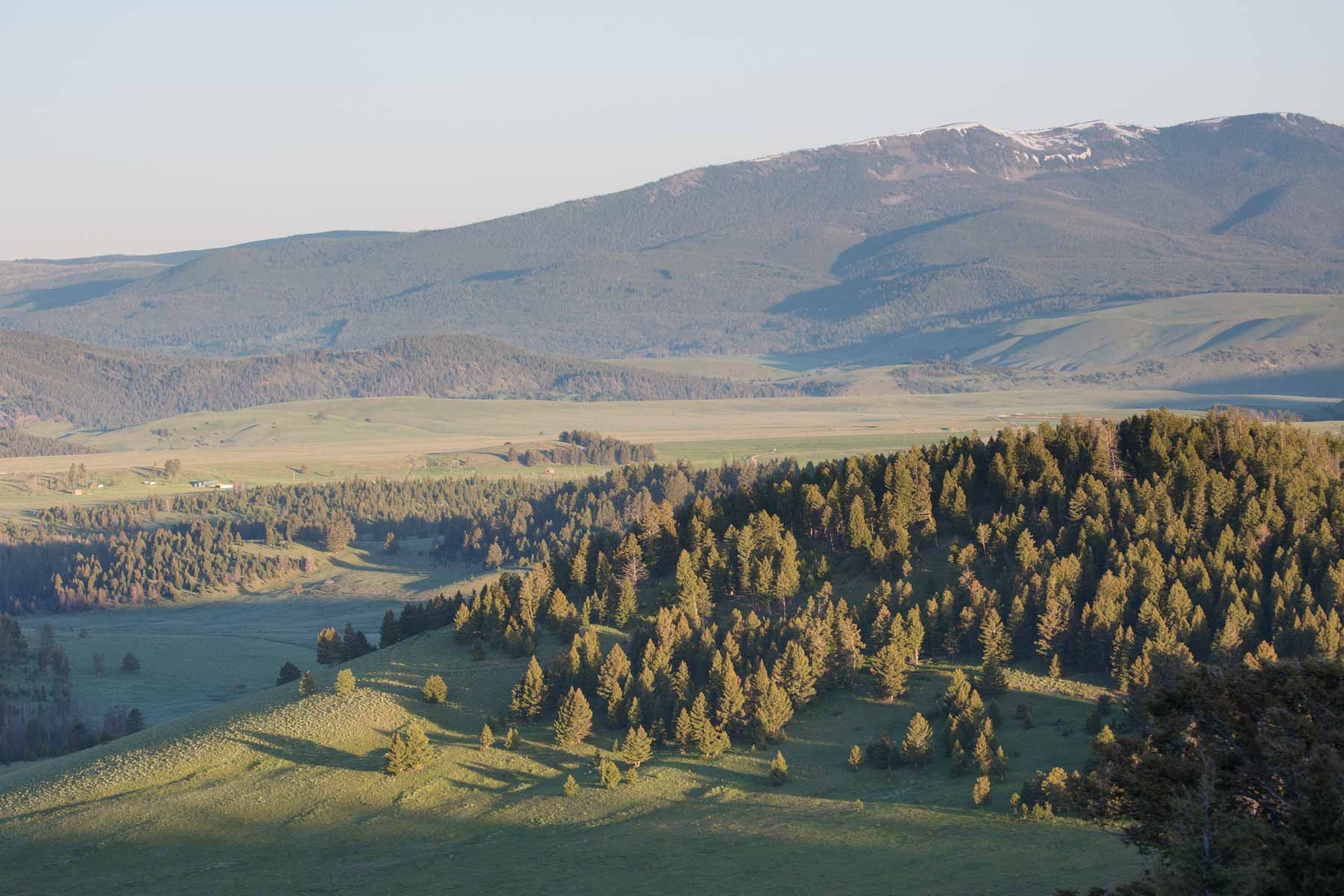 Warren Peak Ranch - Sold - Montana - Hall and Hall