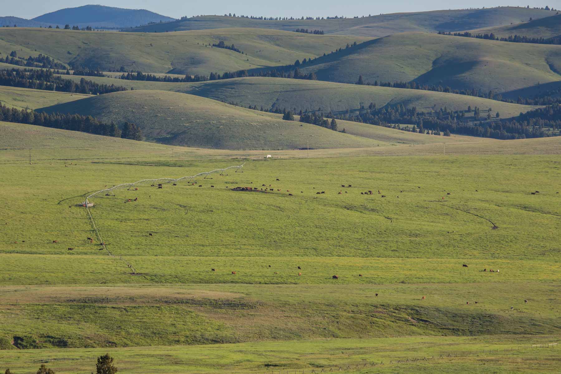 Warren Peak Ranch - Sold - Montana - Hall and Hall
