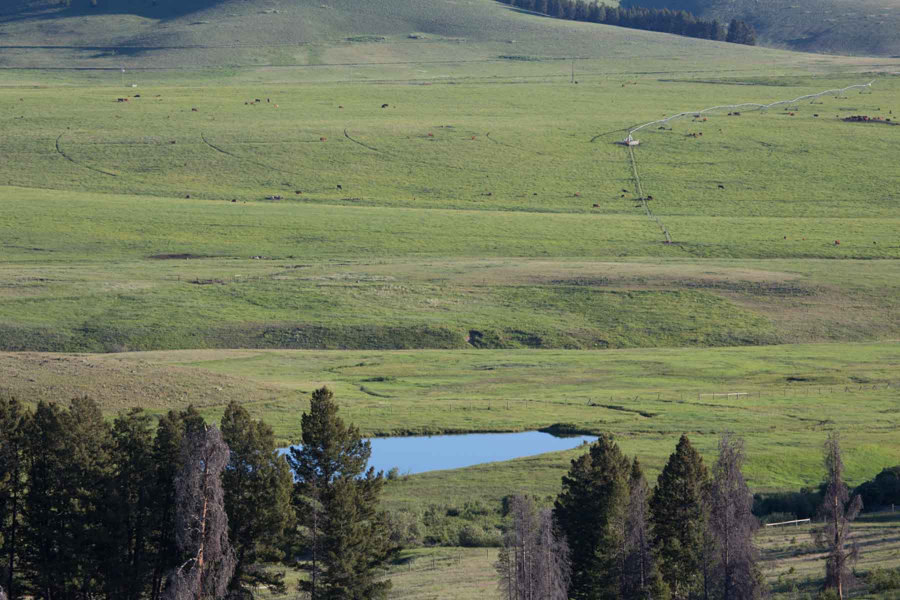 Warren Peak Ranch - Sold - Montana - Hall and Hall