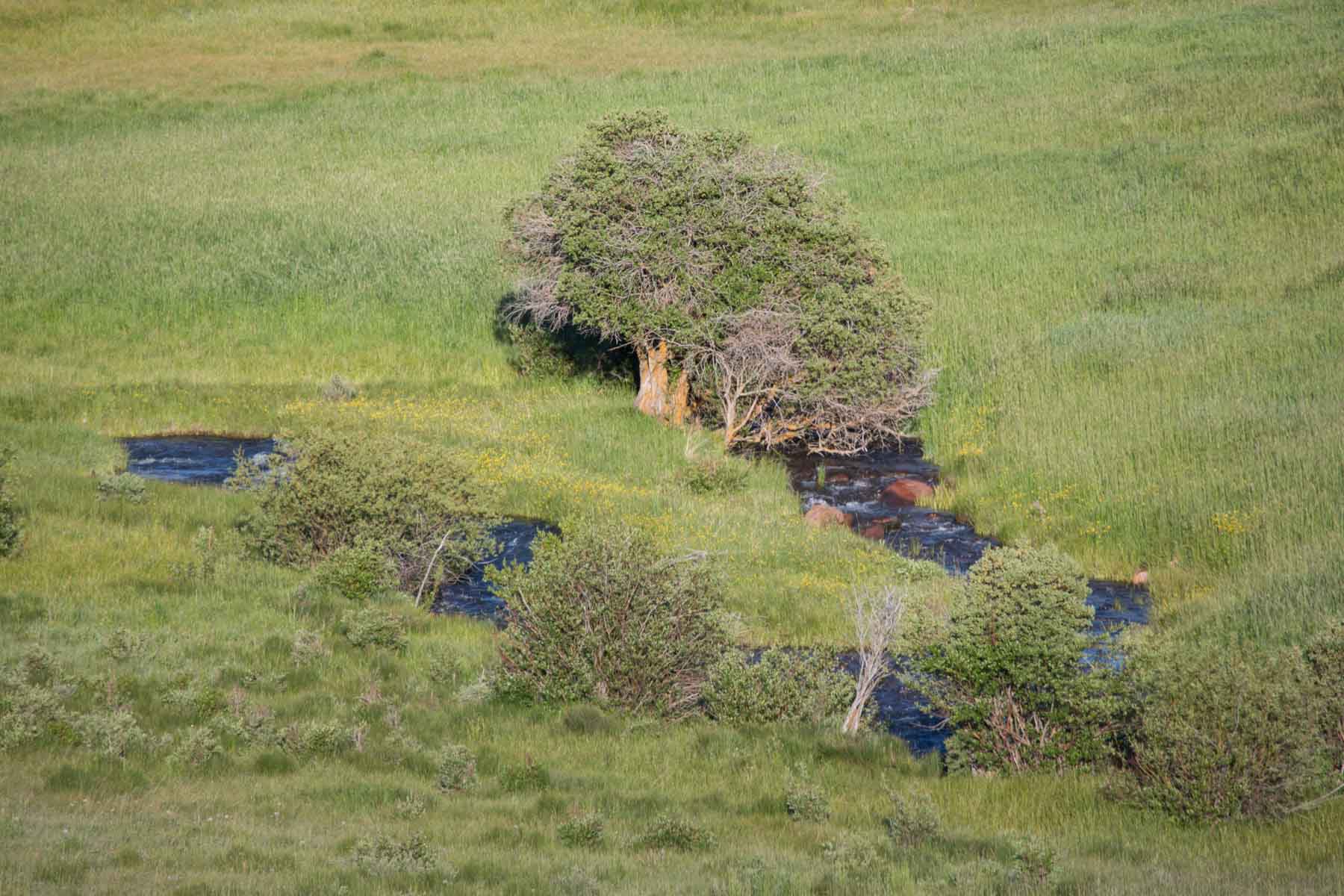Warren Peak Ranch - Sold - Montana - Hall and Hall