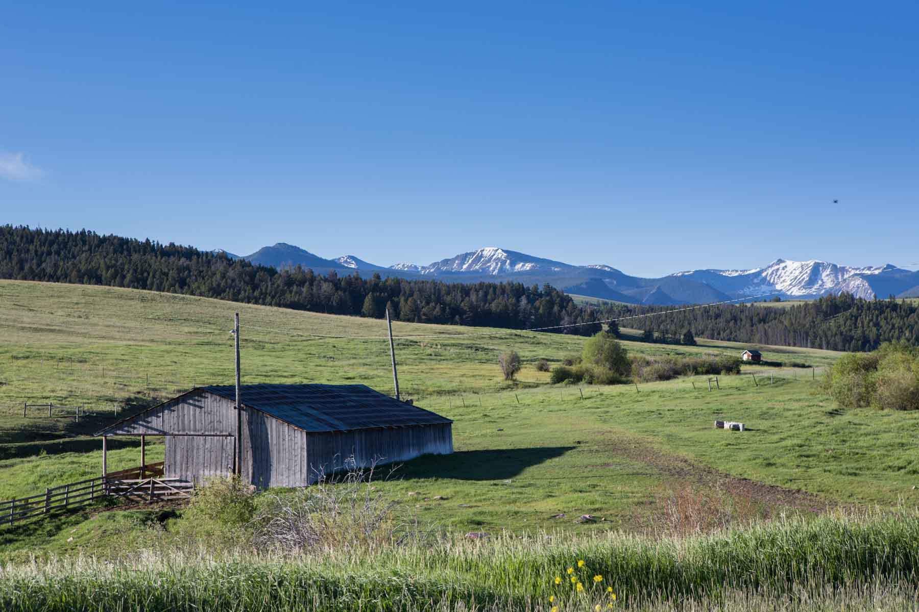 Warren Peak Ranch - Sold - Montana - Hall and Hall