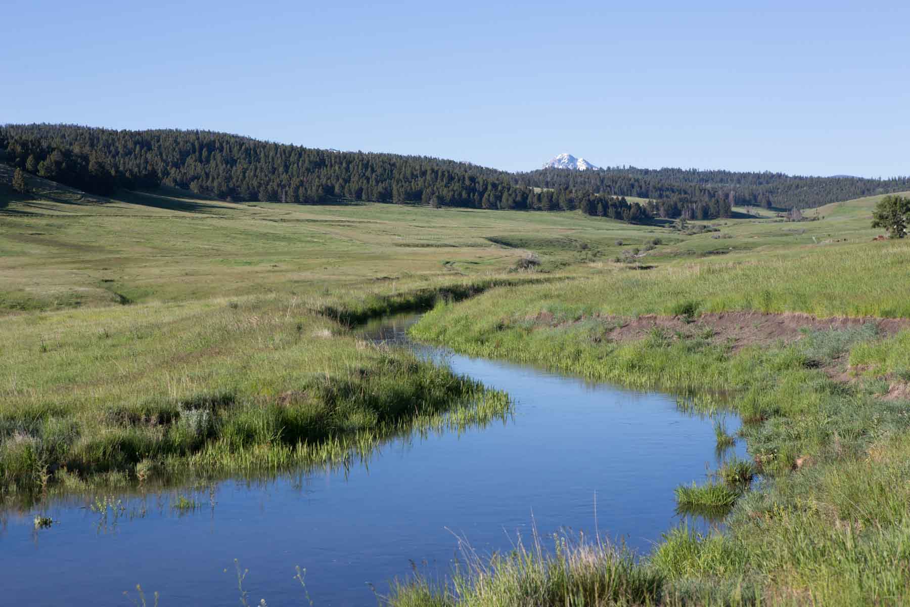 Warren Peak Ranch - Sold - Montana - Hall and Hall