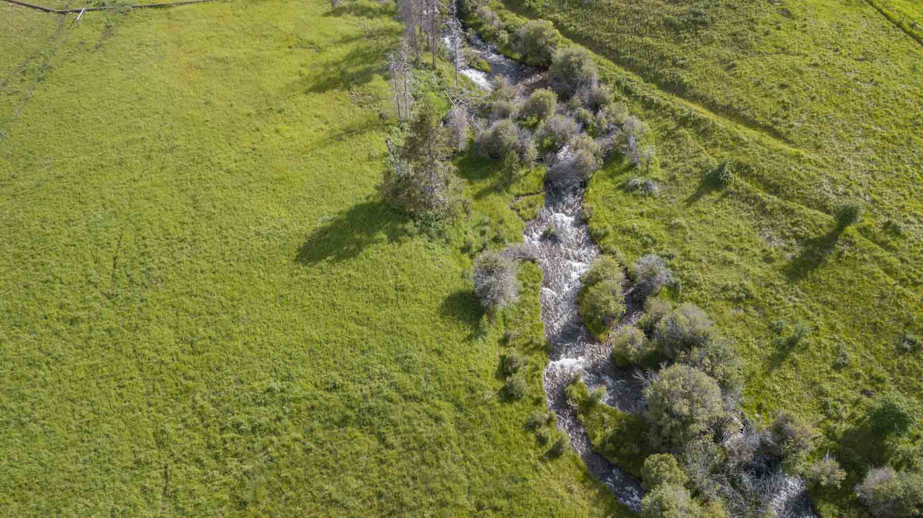 Warren Peak Ranch - Sold - Montana - Hall and Hall