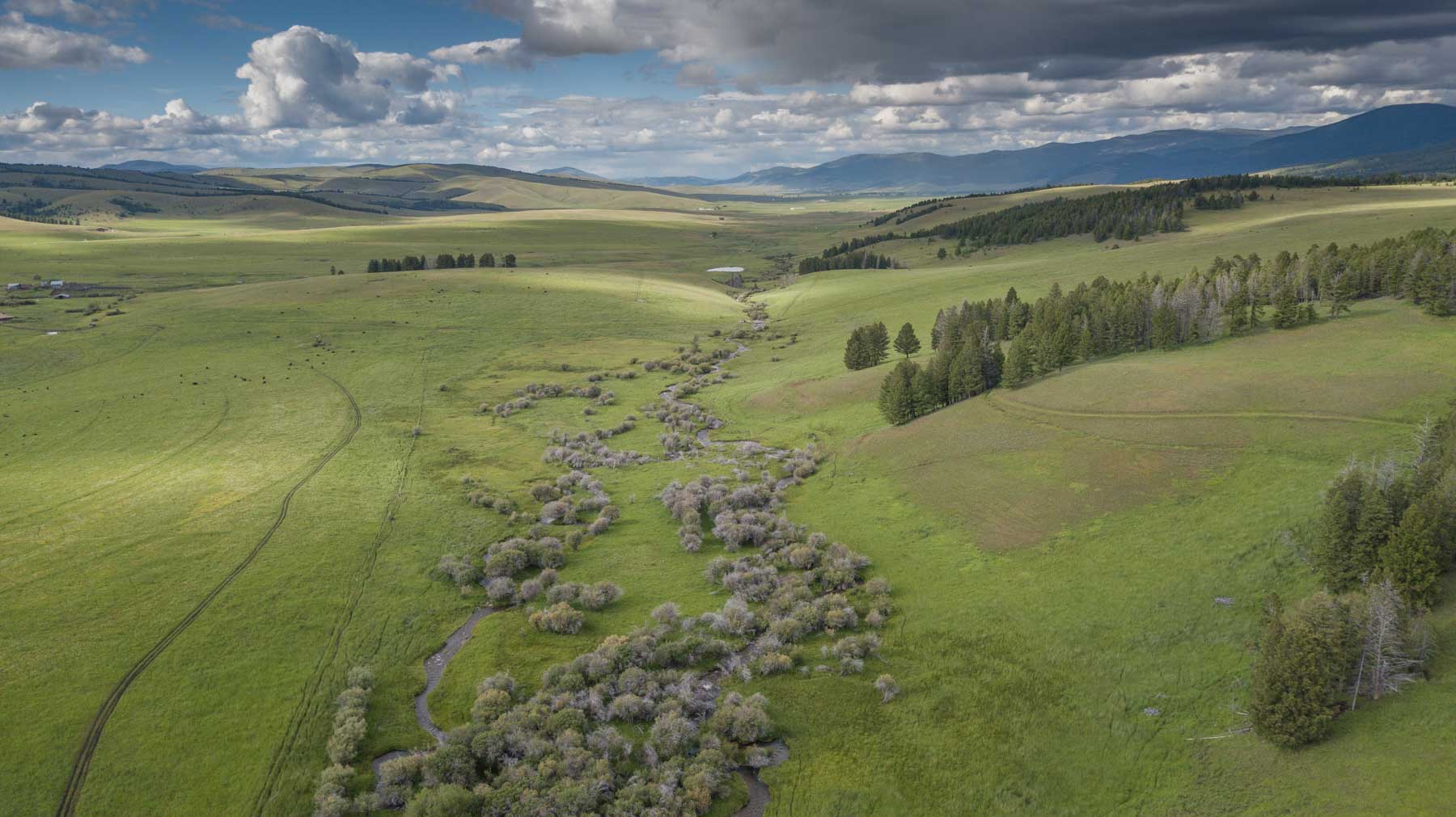Warren Peak Ranch - Sold - Montana - Hall and Hall