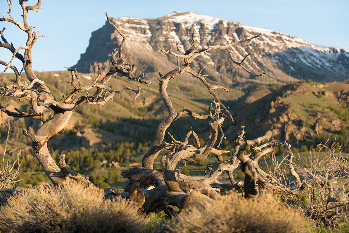 Four Bear Ranch - Past Auction - Wyoming - Hall and Hall