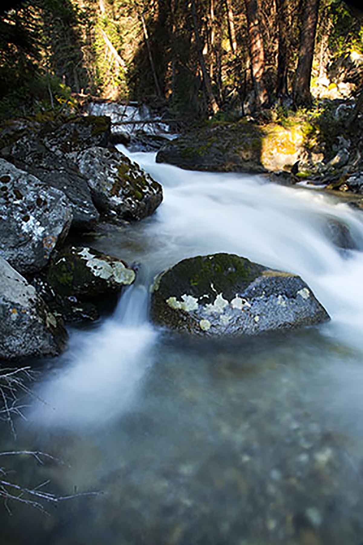 Dancing Wind Ranch - Sold - Montana - Hall and Hall