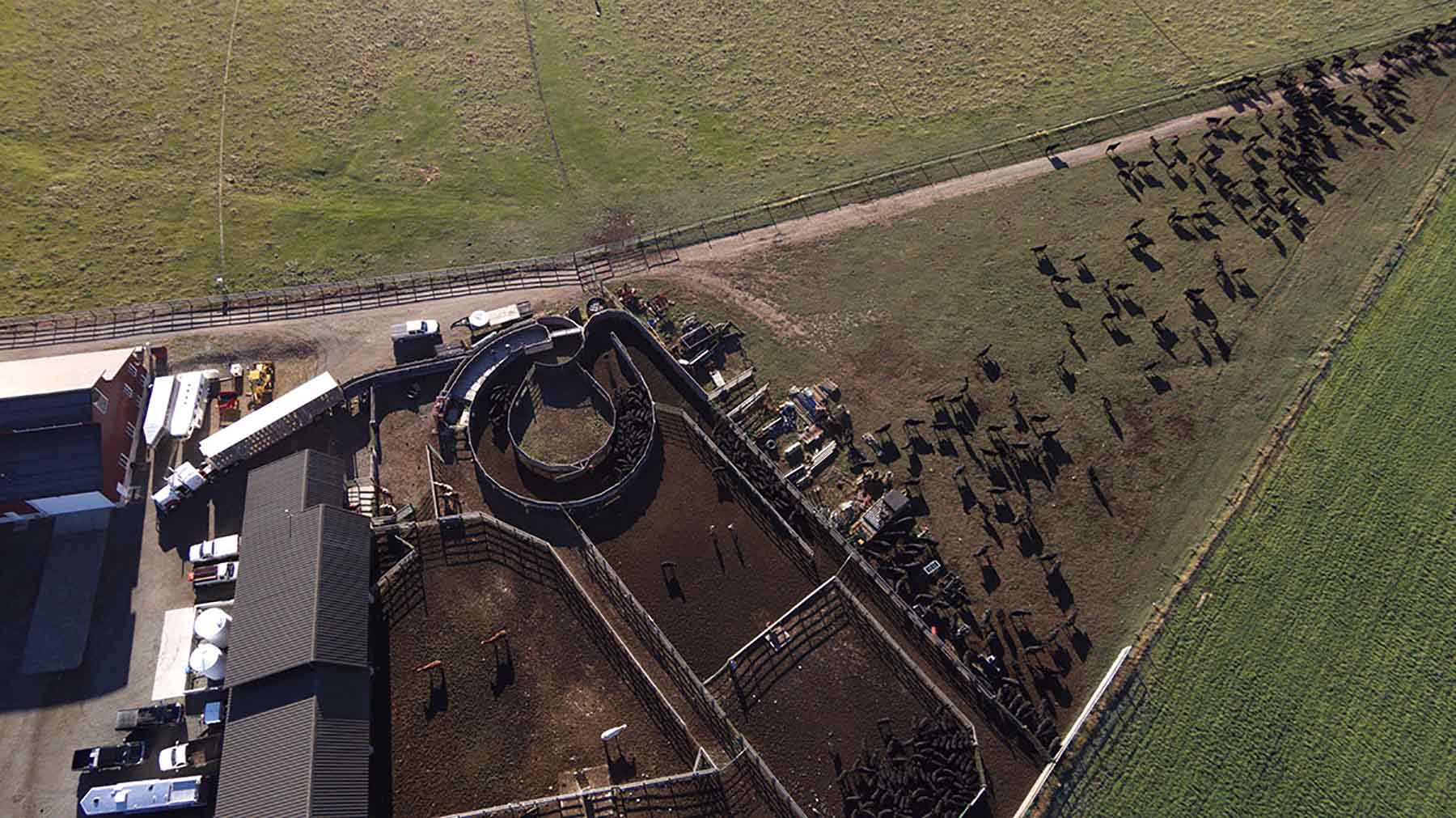 Dancing Wind Ranch - Sold - Montana - Hall and Hall