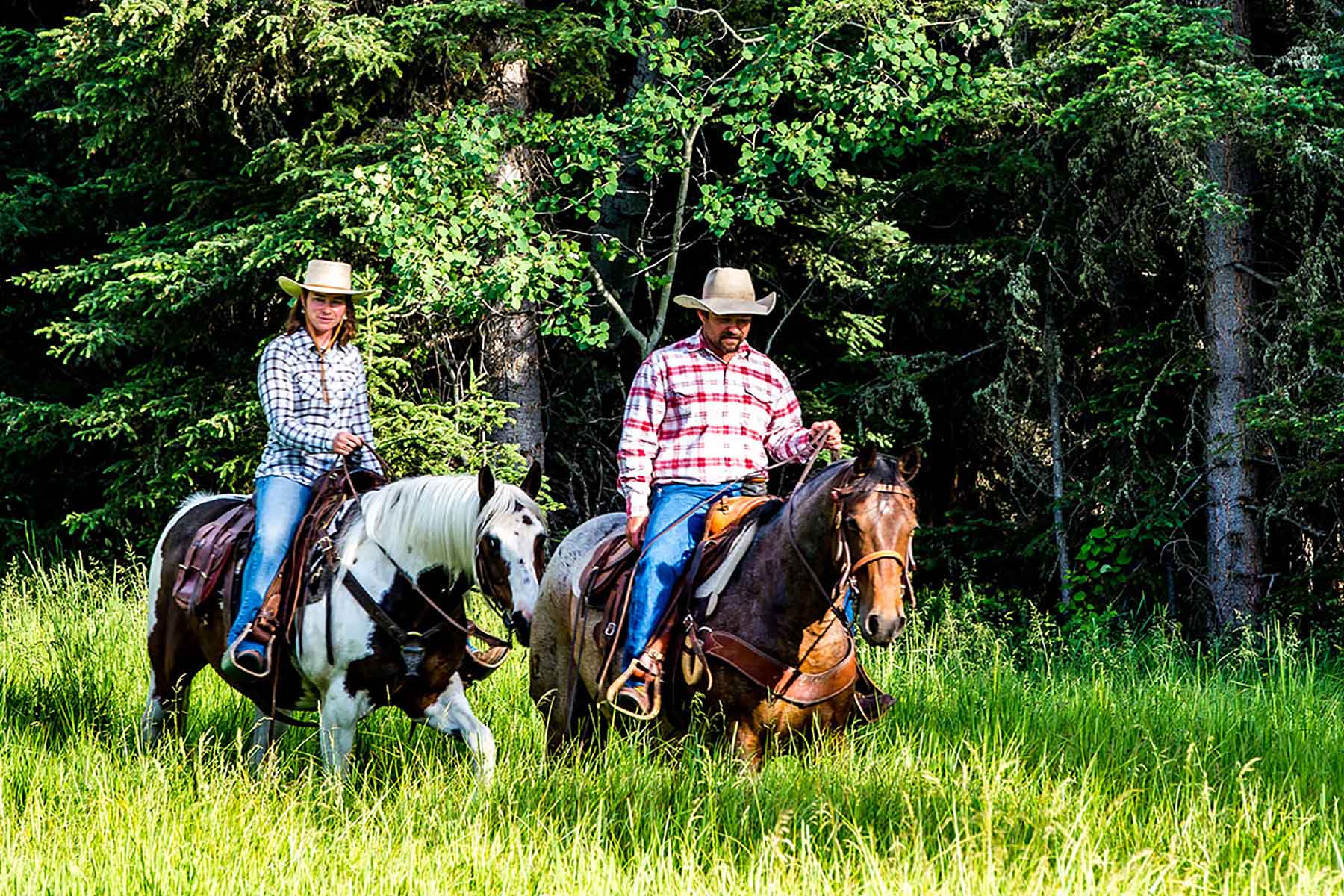 Dancing Wind Ranch - Sold - Montana - Hall and Hall