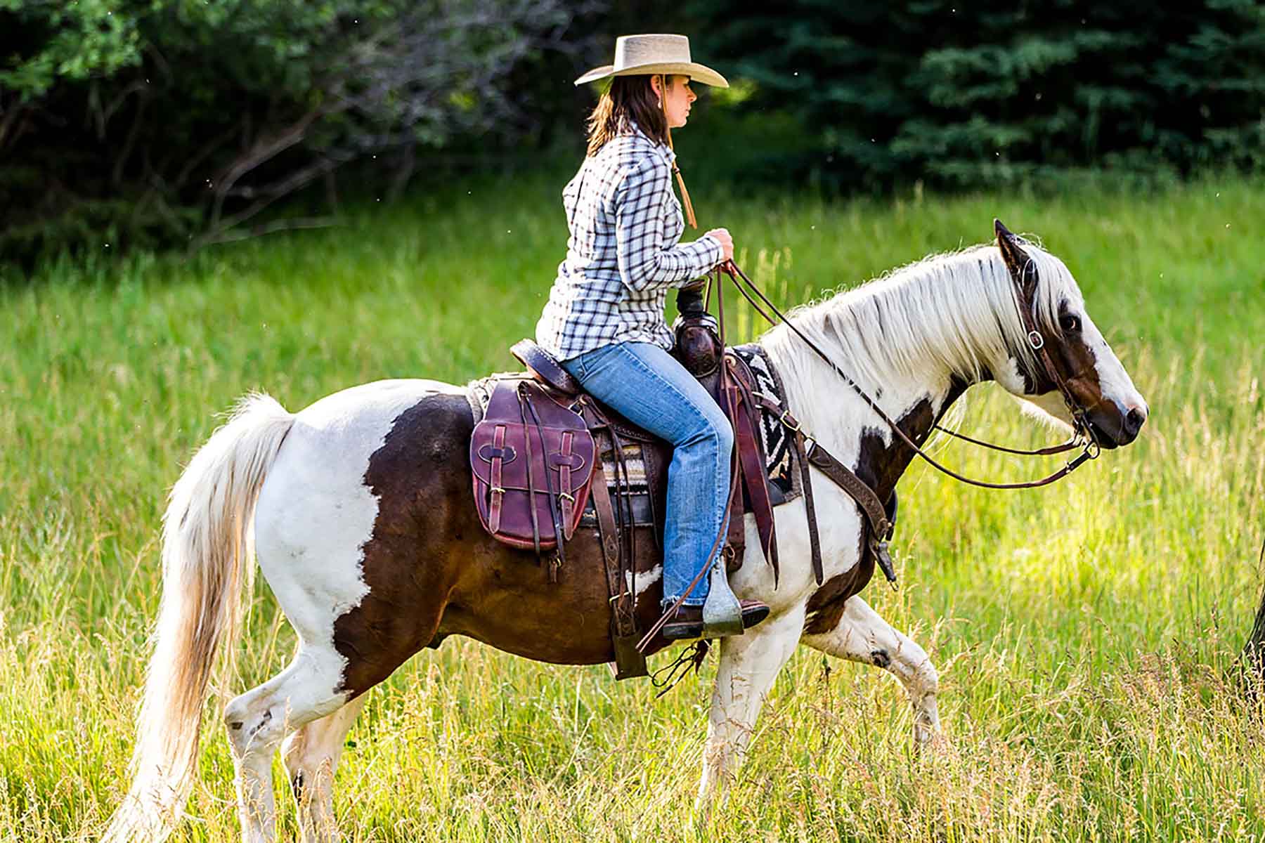 Dancing Wind Ranch - Sold - Montana - Hall and Hall