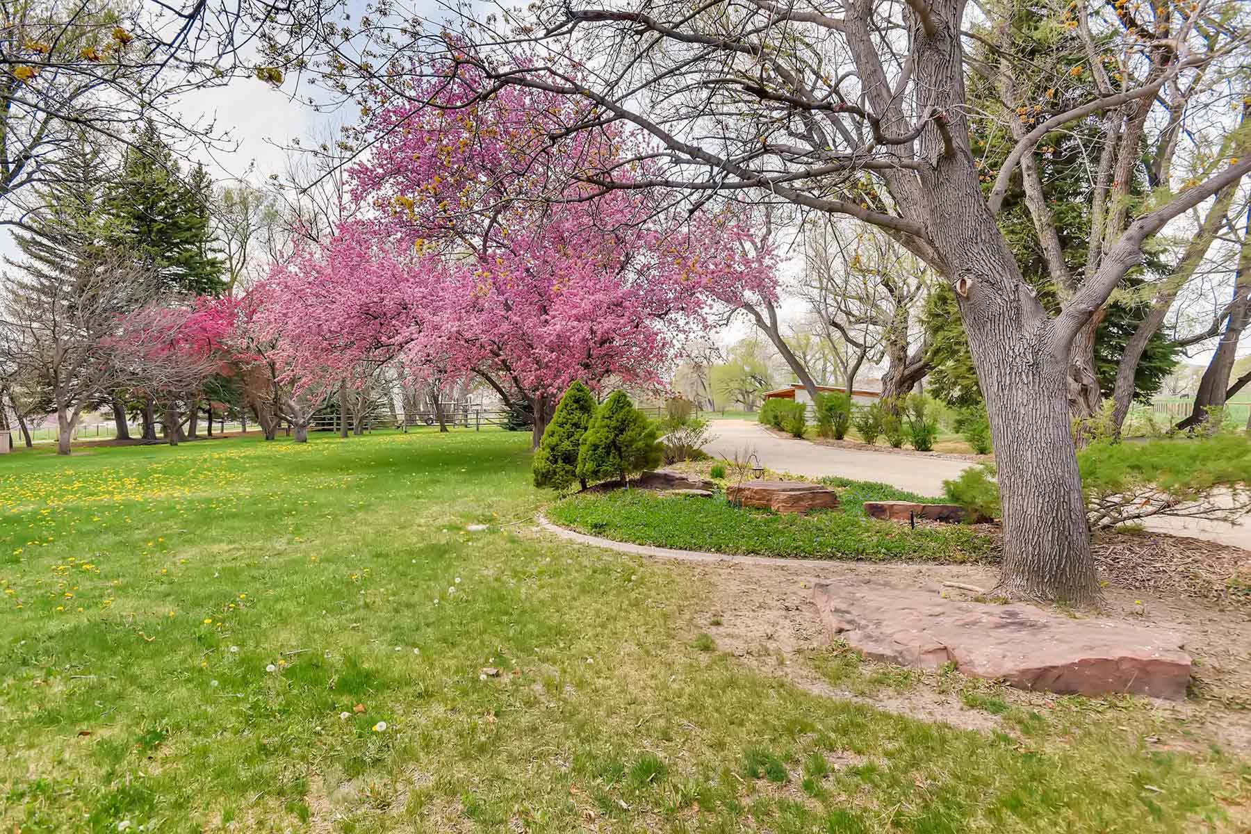 Rocking R - Orchard House - Sold - Colorado - Hall and Hall