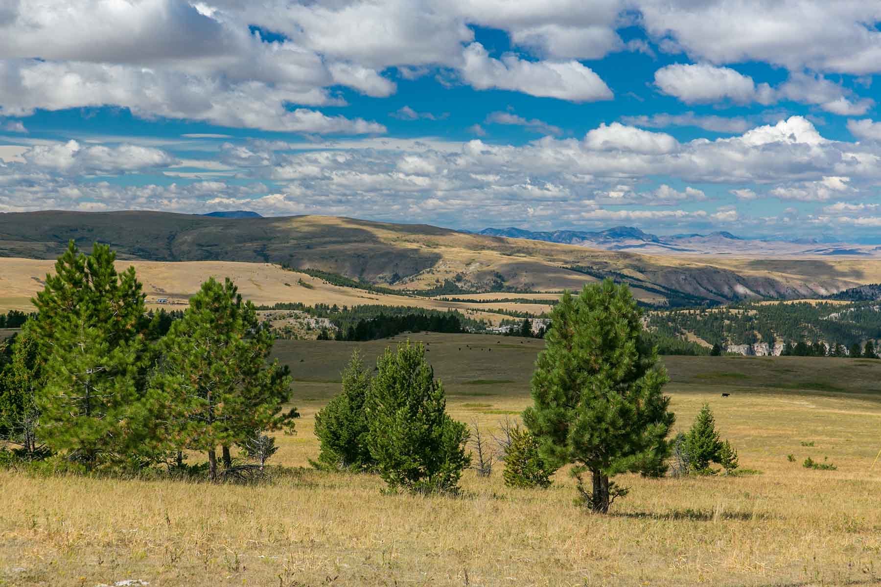 Smith River Canyon Ranch - Sold - Montana - Hall and Hall