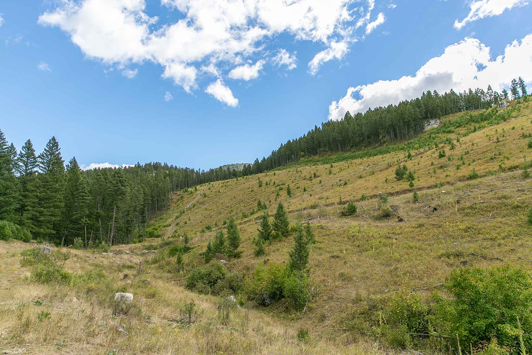 Smith River Canyon Ranch - Sold - Montana - Hall and Hall