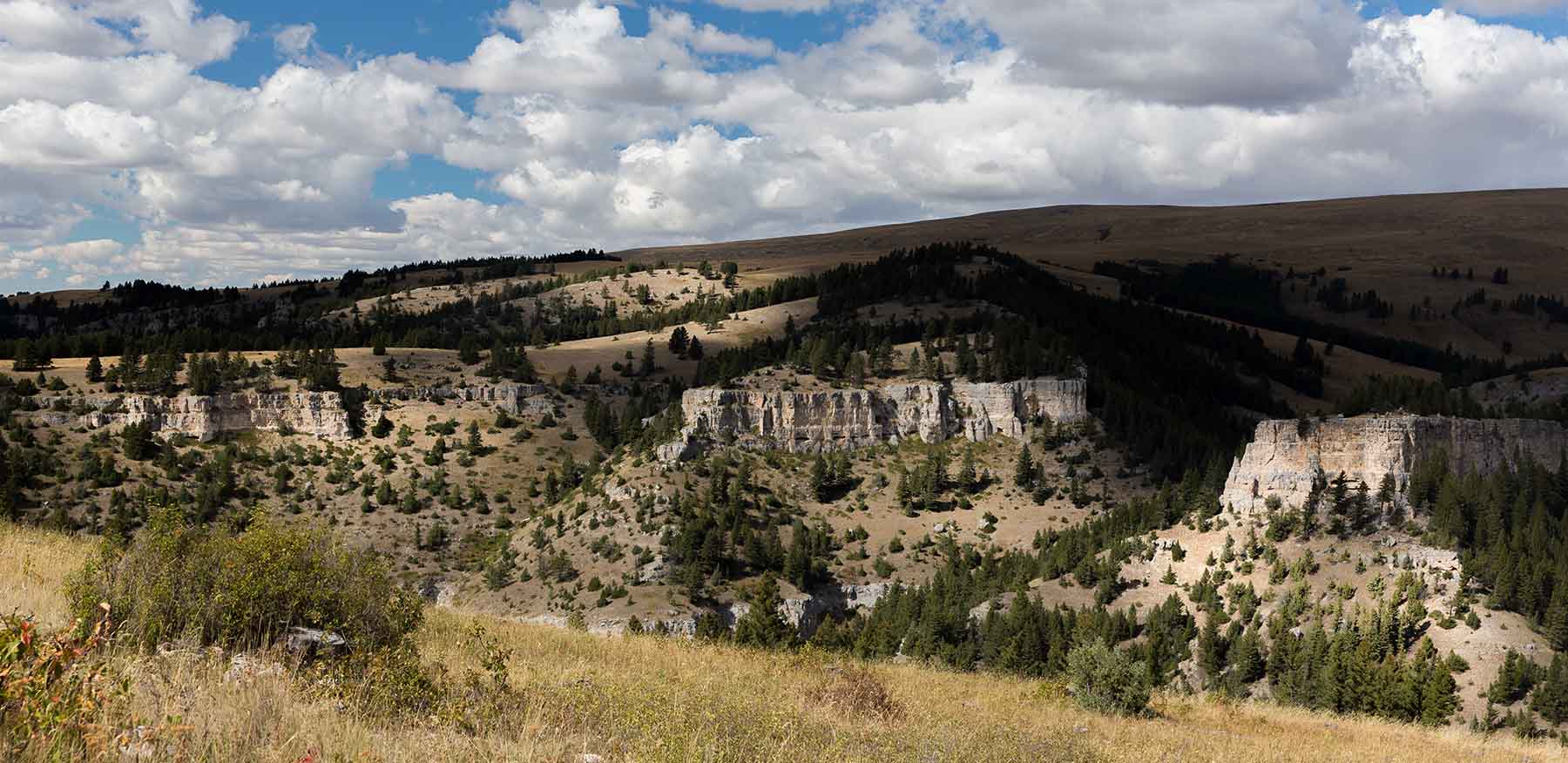 Smith River Canyon Ranch - Sold - Montana - Hall and Hall