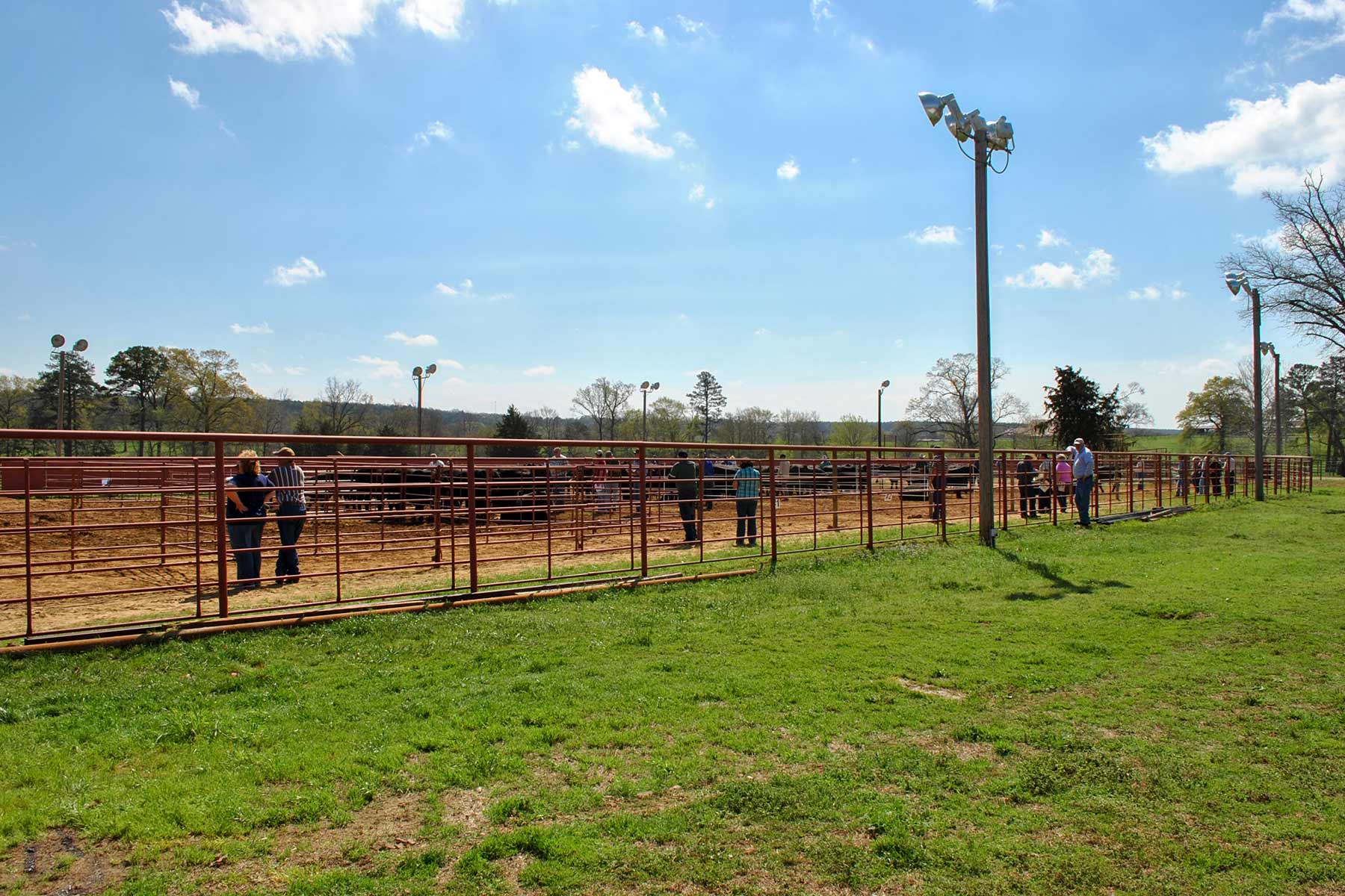 KiamichiLink Ranch - Sold - Oklahoma - Hall and Hall