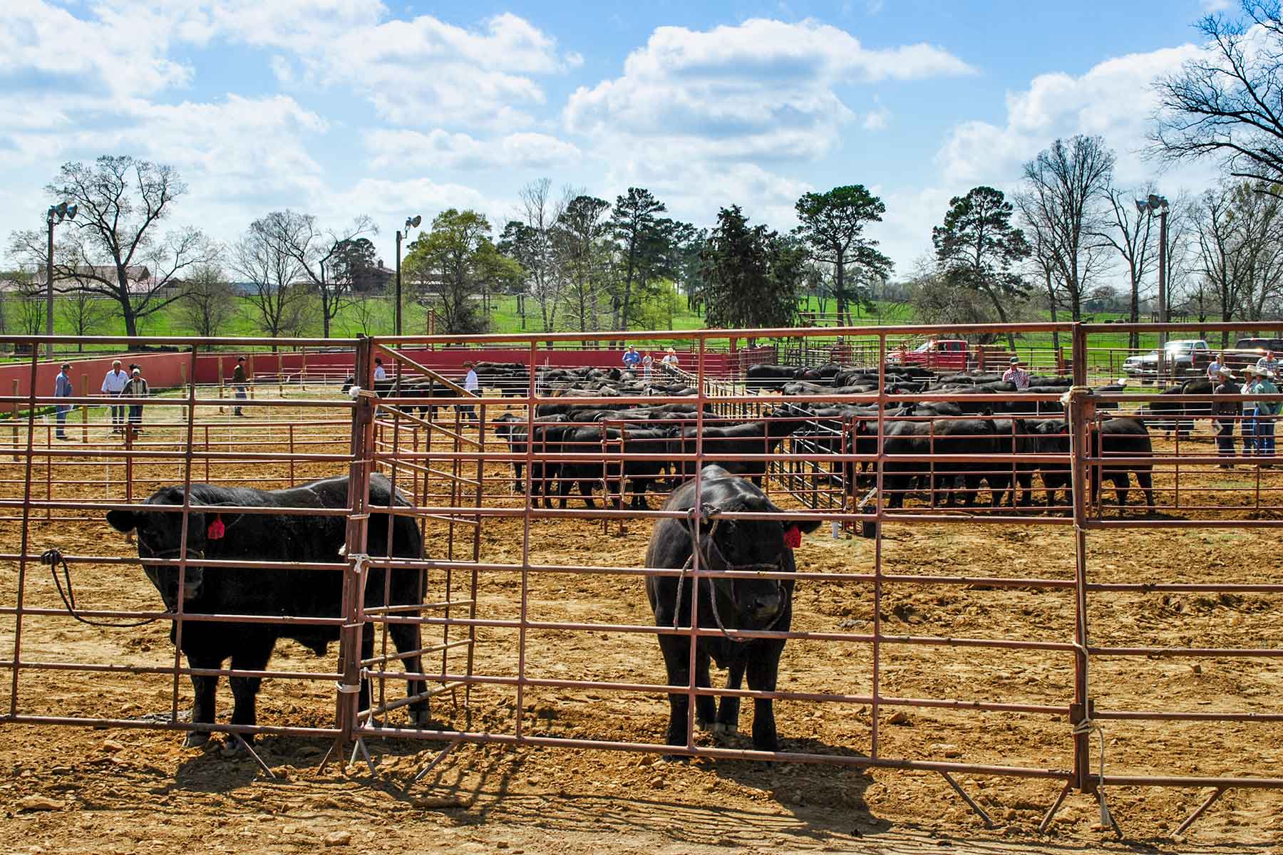 KiamichiLink Ranch - Sold - Oklahoma - Hall and Hall