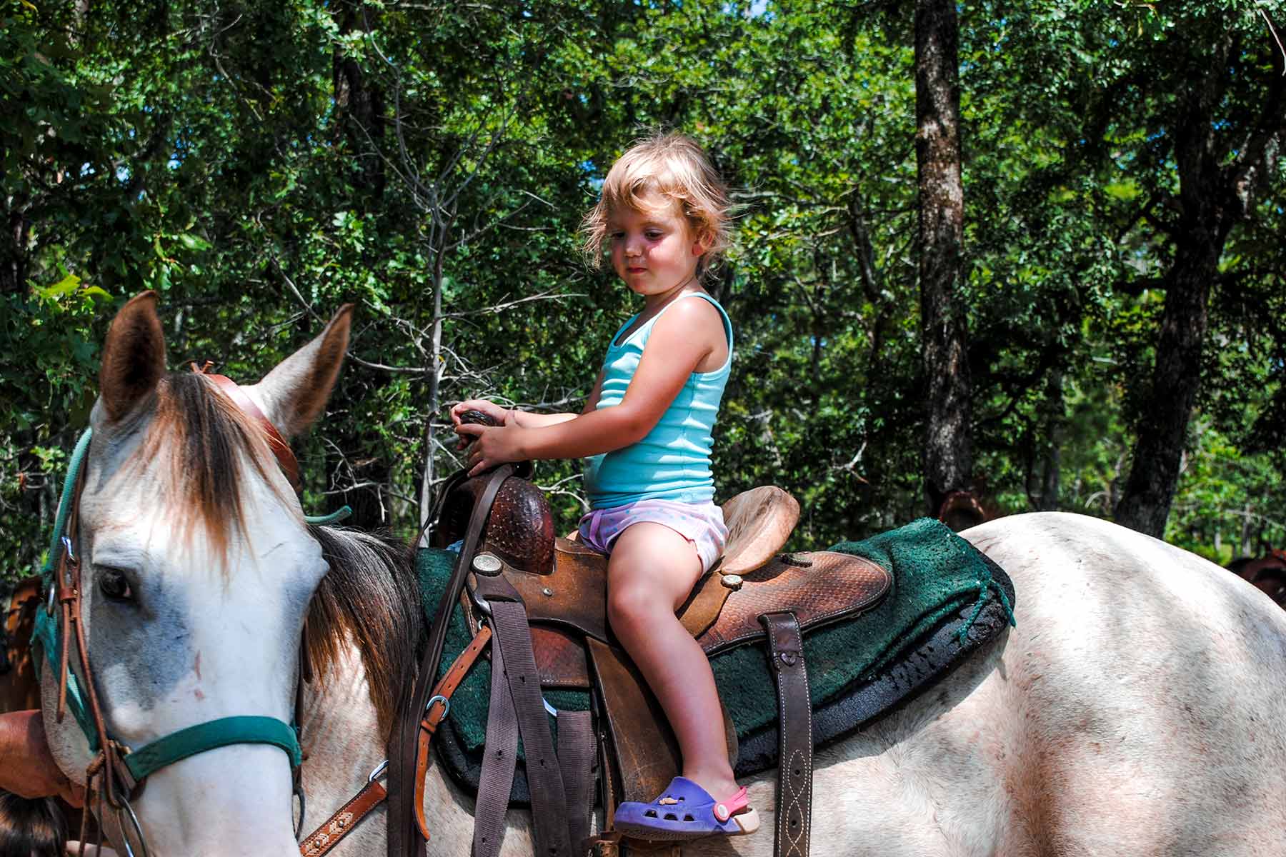 KiamichiLink Ranch - Sold - Oklahoma - Hall and Hall