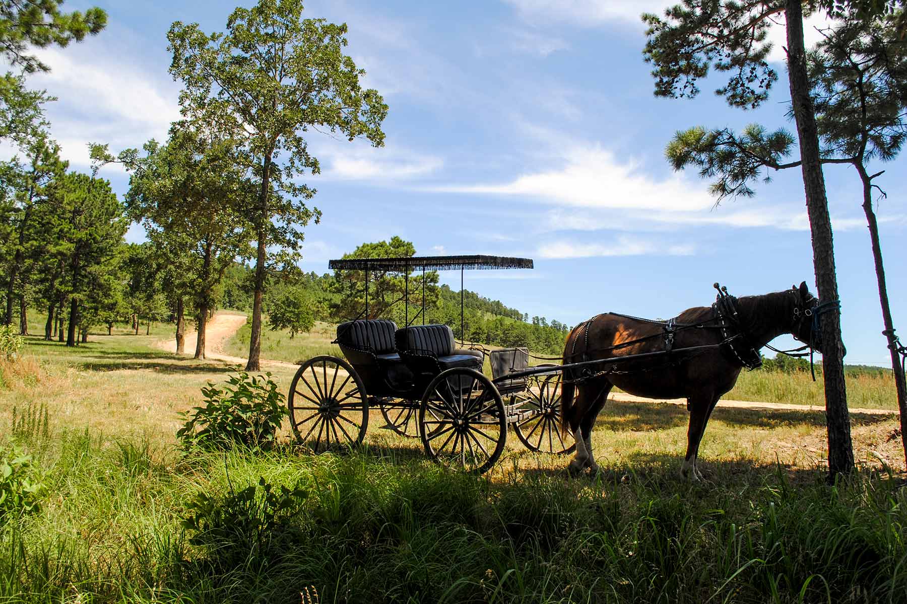 KiamichiLink Ranch - Sold - Oklahoma - Hall and Hall
