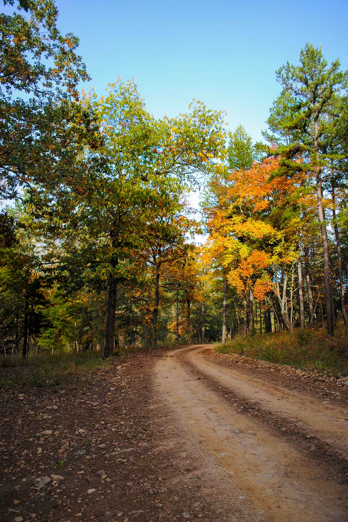 KiamichiLink Ranch - Sold - Oklahoma - Hall and Hall