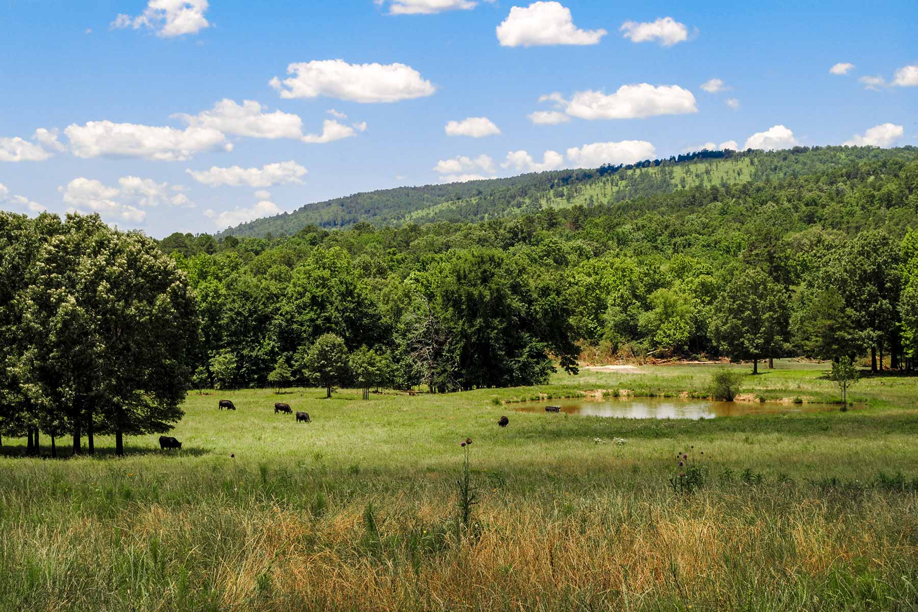 KiamichiLink Ranch - Sold - Oklahoma - Hall and Hall