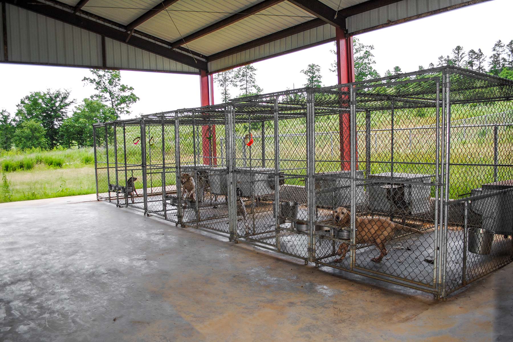 KiamichiLink Ranch - Sold - Oklahoma - Hall and Hall