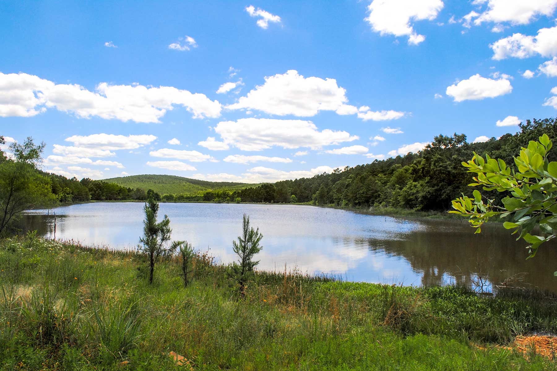 KiamichiLink Ranch - Sold - Oklahoma - Hall and Hall
