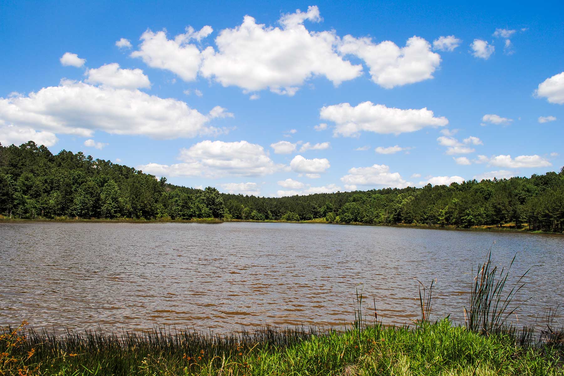 KiamichiLink Ranch - Sold - Oklahoma - Hall and Hall