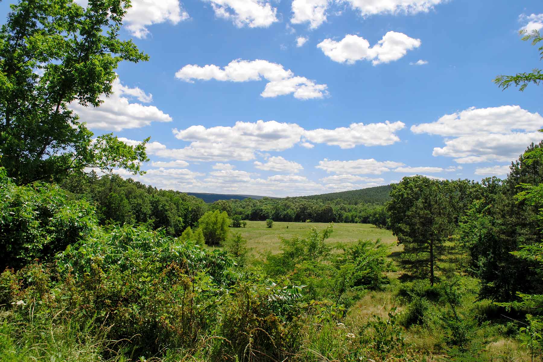 KiamichiLink Ranch - Sold - Oklahoma - Hall and Hall