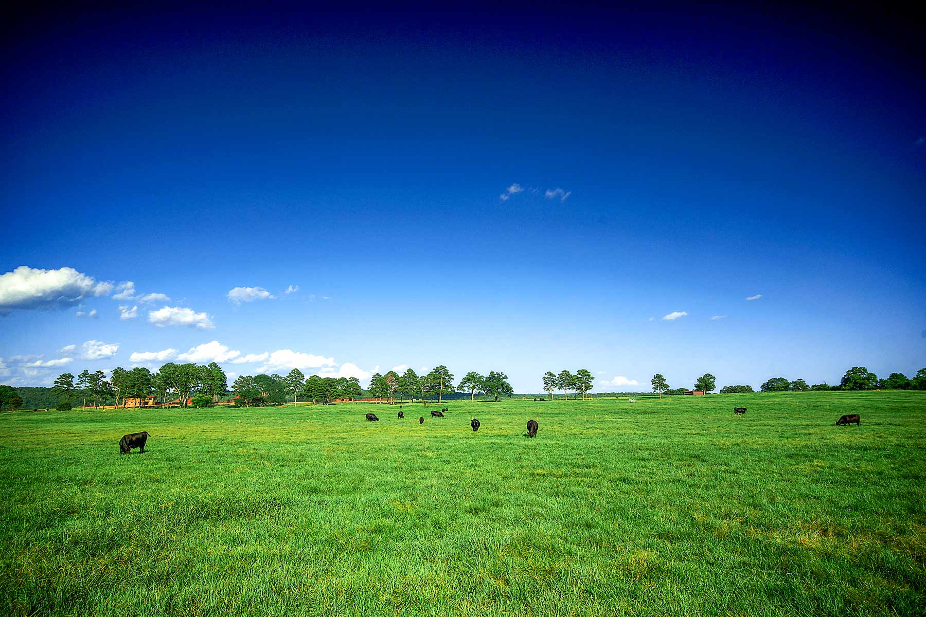KiamichiLink Ranch - Sold - Oklahoma - Hall and Hall