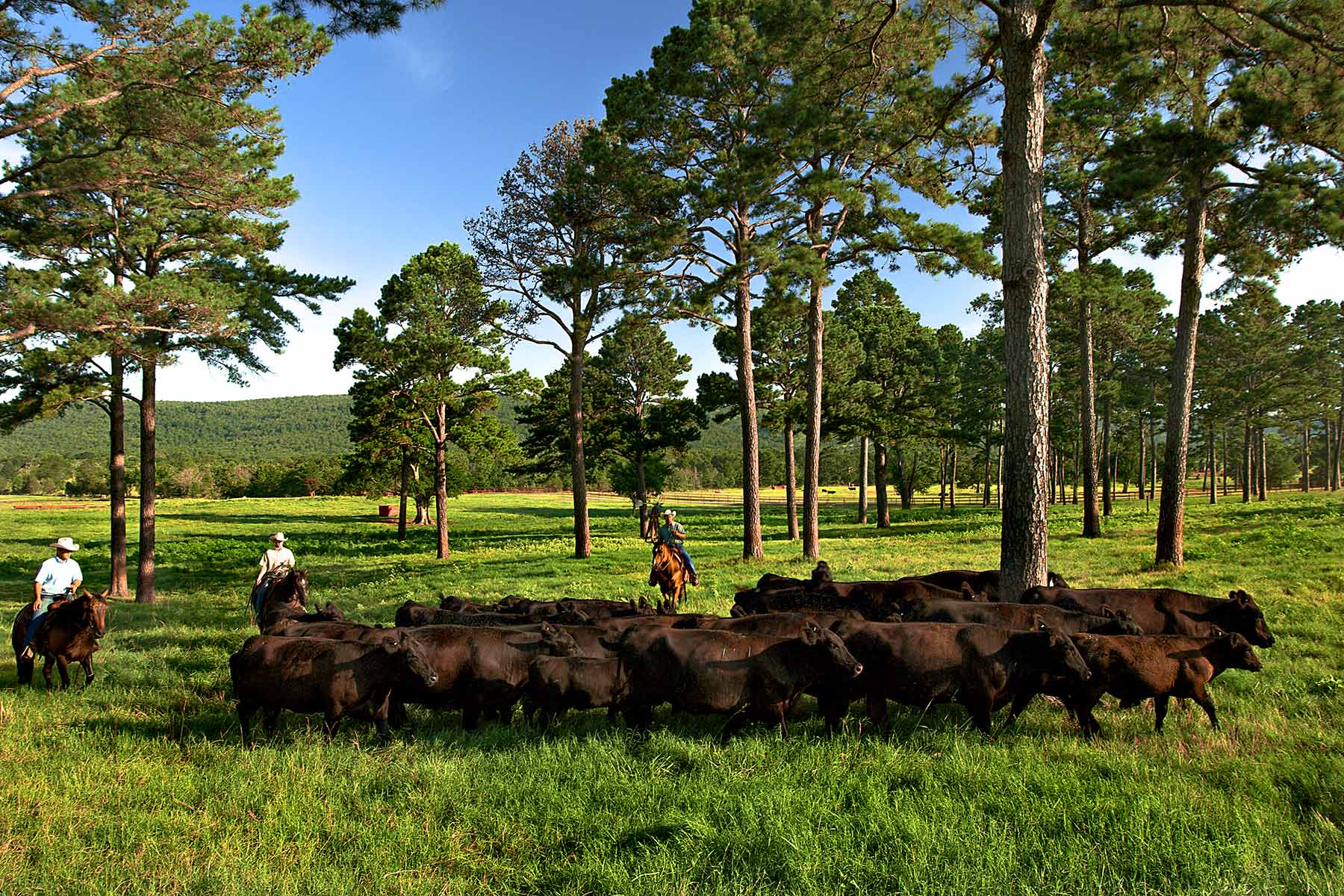 KiamichiLink Ranch - Sold - Oklahoma - Hall and Hall