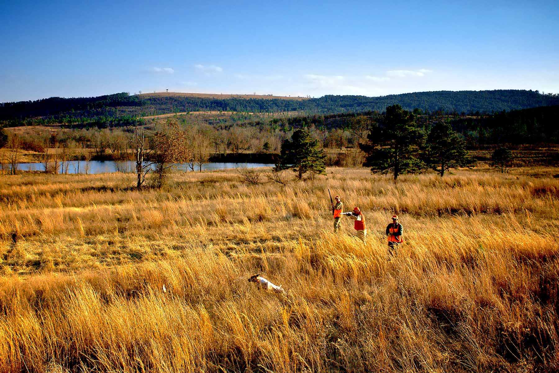 KiamichiLink Ranch - Sold - Oklahoma - Hall and Hall
